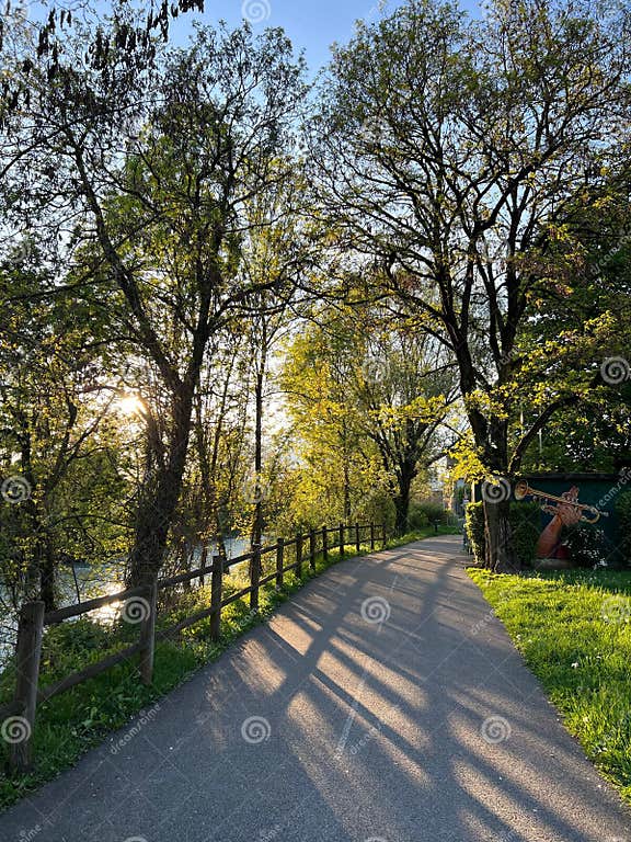 Tranquil Scene of a Pathway Surrounded by Lush Green Trees. Stock Image ...