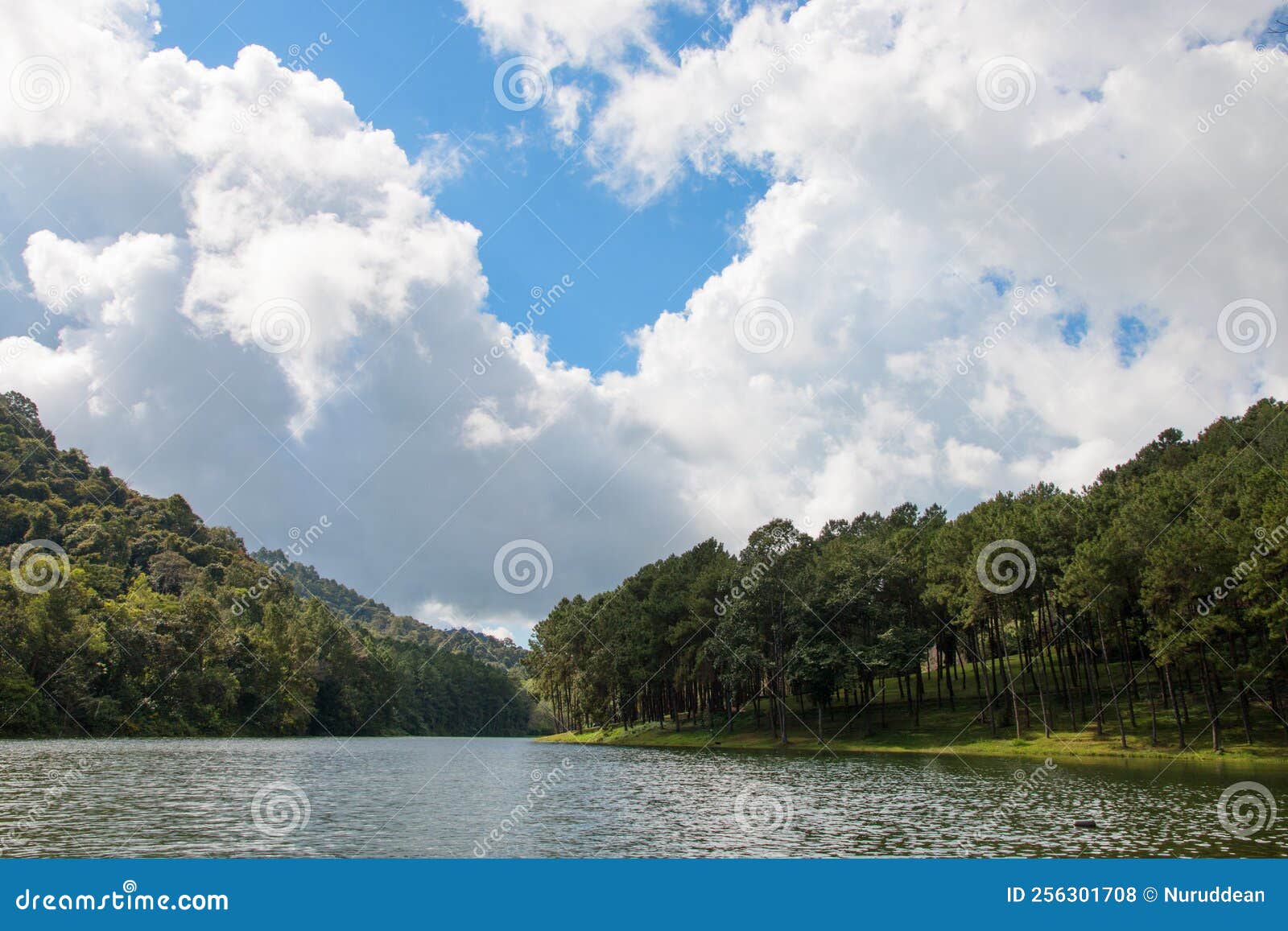 Tranquil Scenery of Lakeside Forest Stock Photo - Image of nature ...