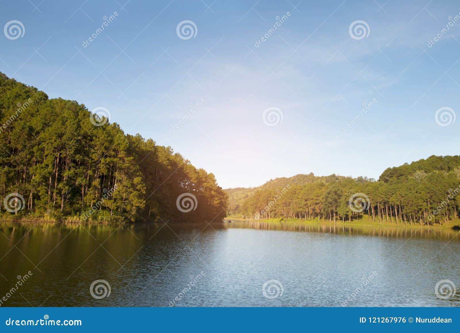 Tranquil Scenery of Lakeside Forest Stock Photo - Image of tranquil ...