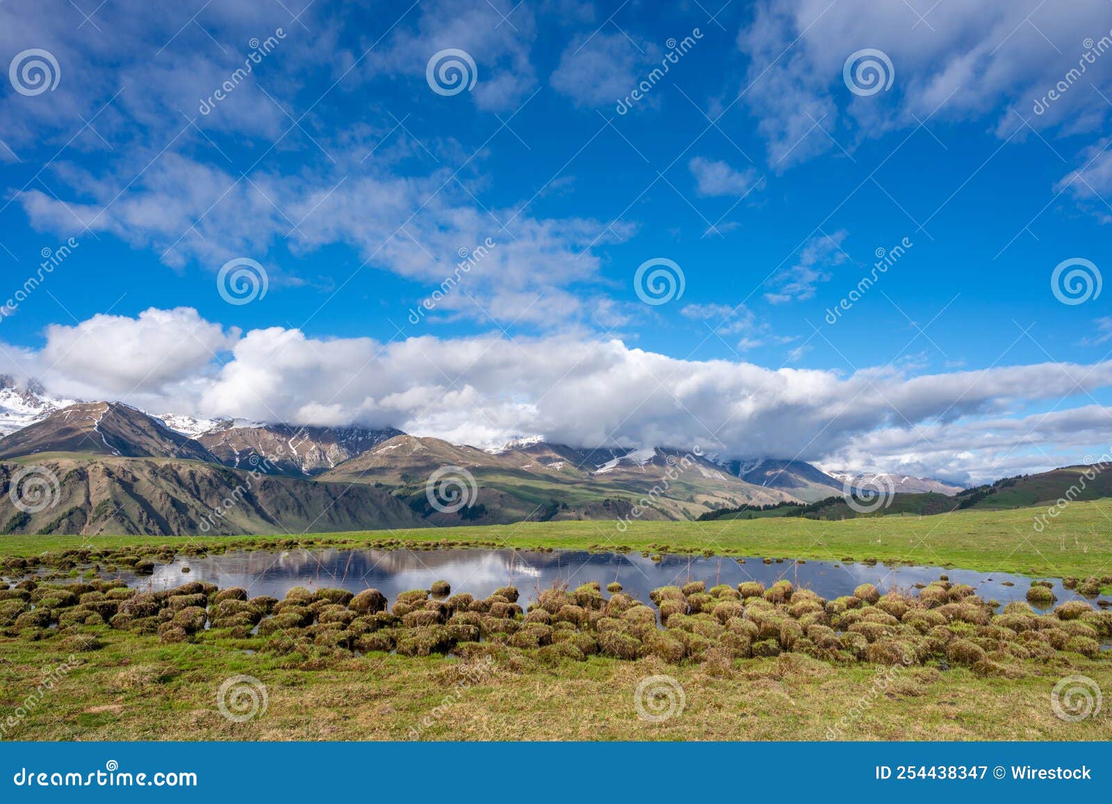 Tranquil Scenery of Mountains and Meadows in Harmony Stock Image ...