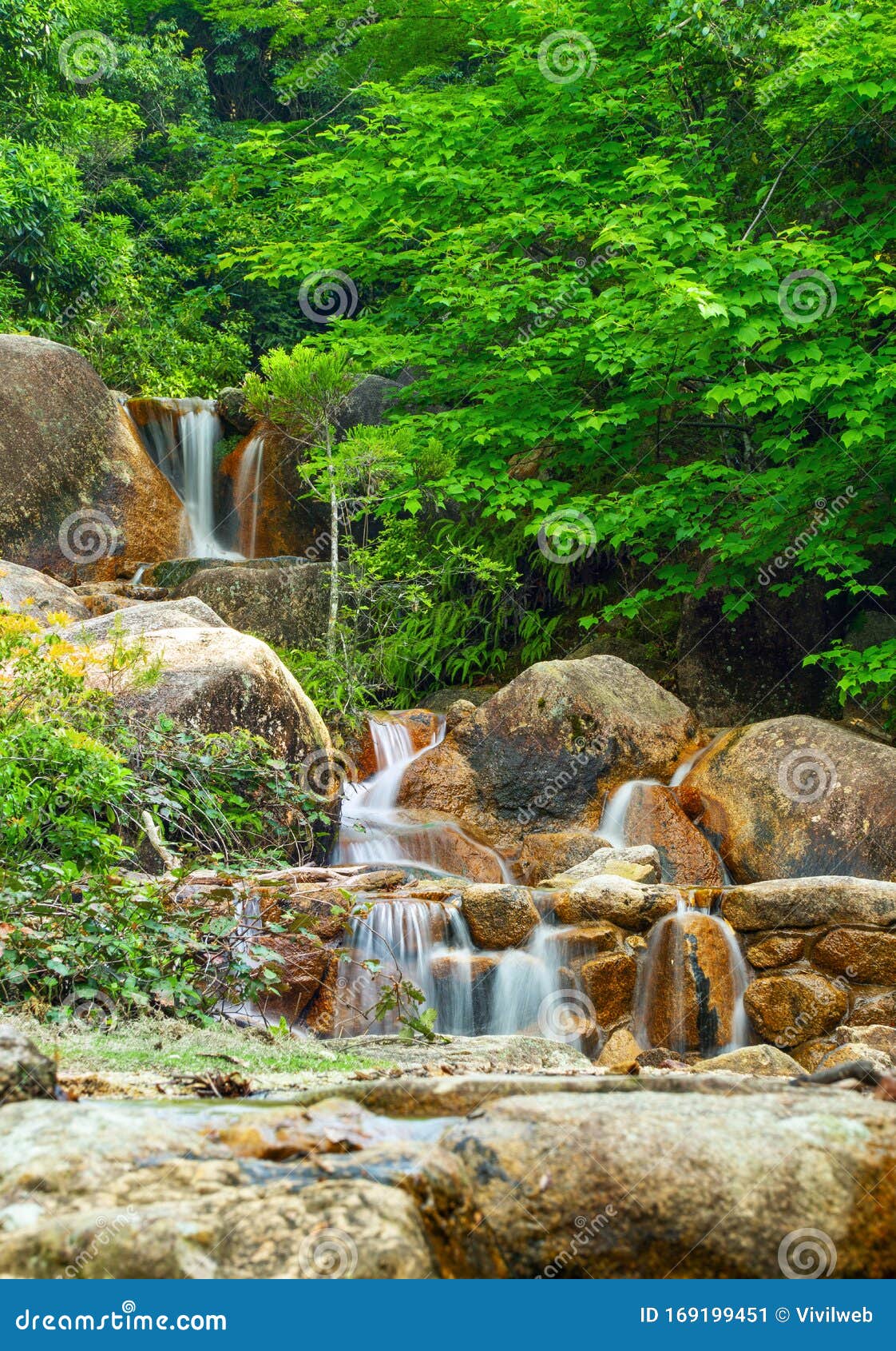Tranquil Scenery of a Small Creek Cascade Stock Image - Image of nature ...