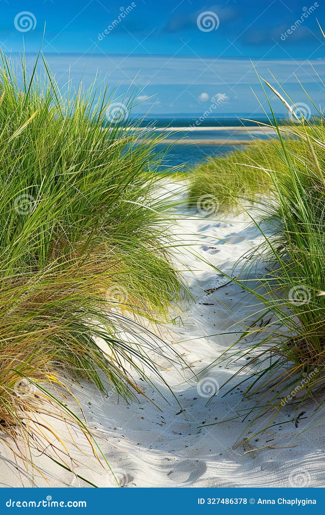 Tranquil Seaside Path through Sand Dunes To Beach Stock Photo - Image ...