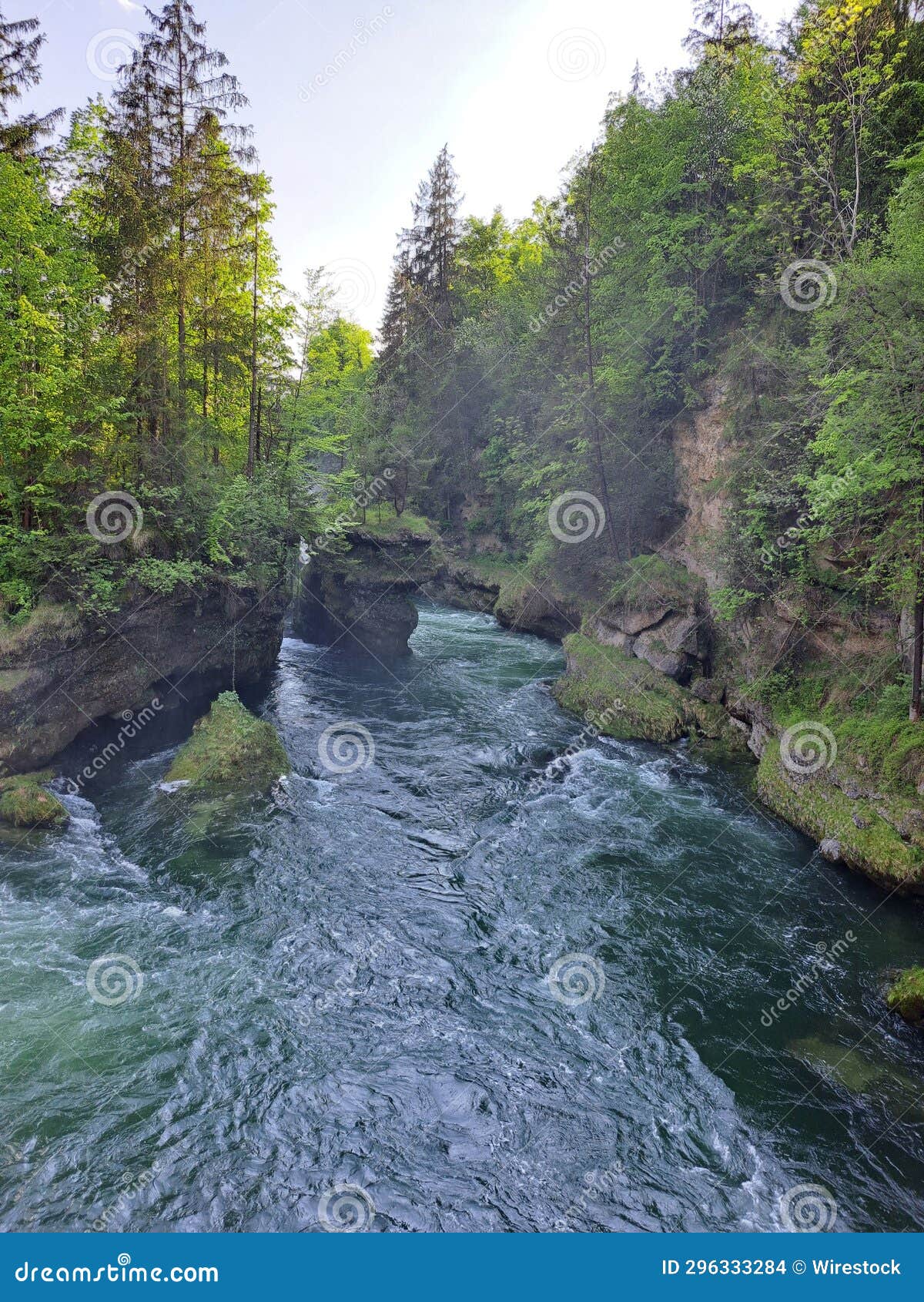 A River with Trees, Rocks and Small Rapids in it Stock Photo - Image of ...