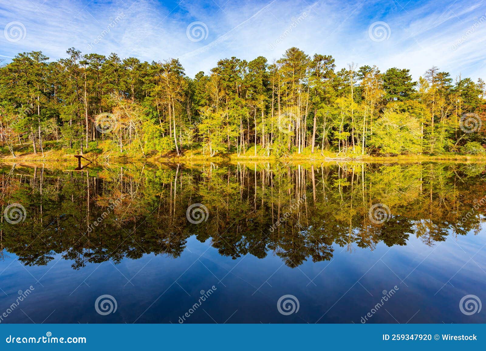 Tranquil Shot of the Reflections of Trees and the Sky in the Water ...