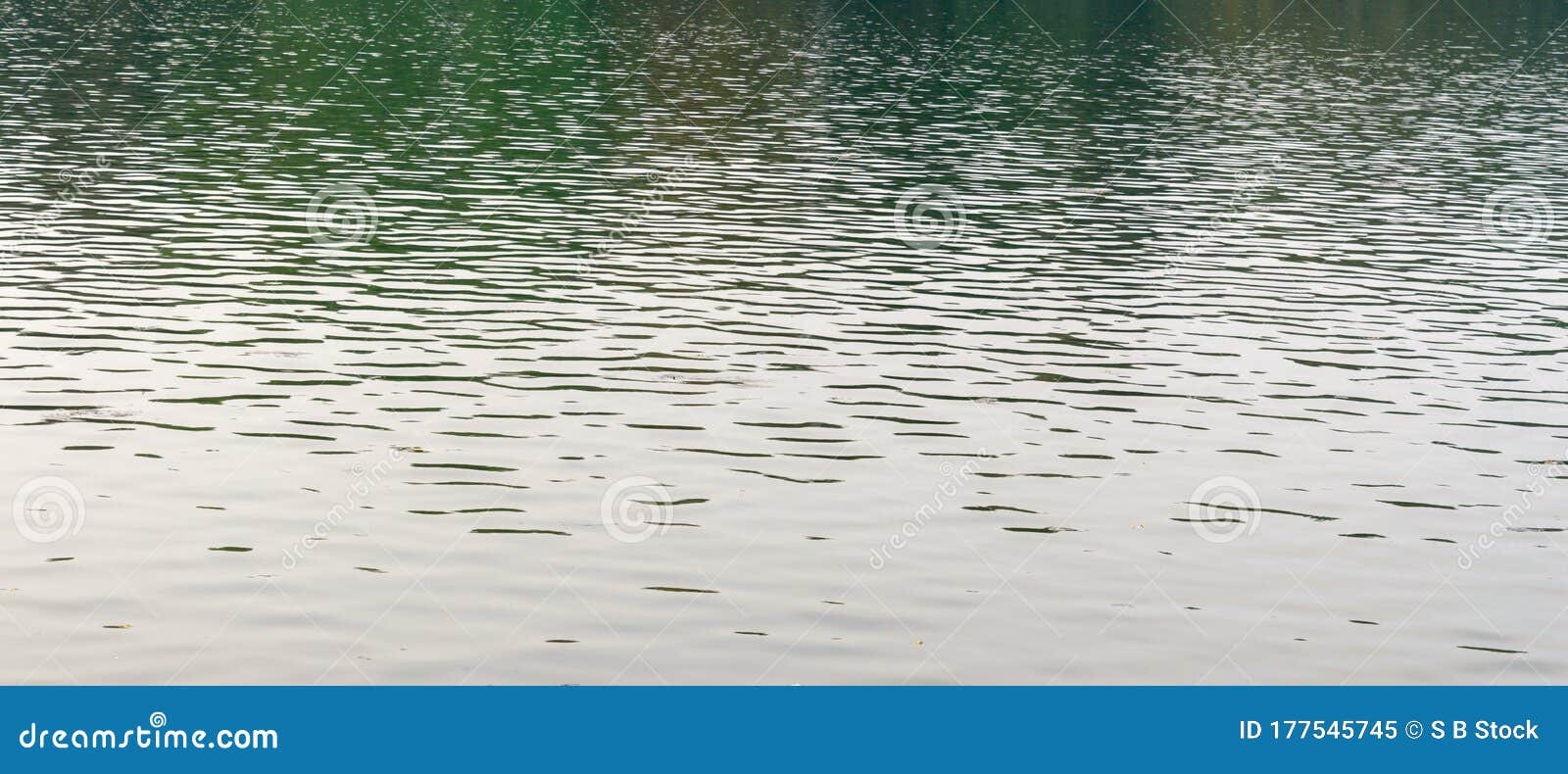 Tranquil Standing Water Surface. Natural Pattern Texture and Colour ...