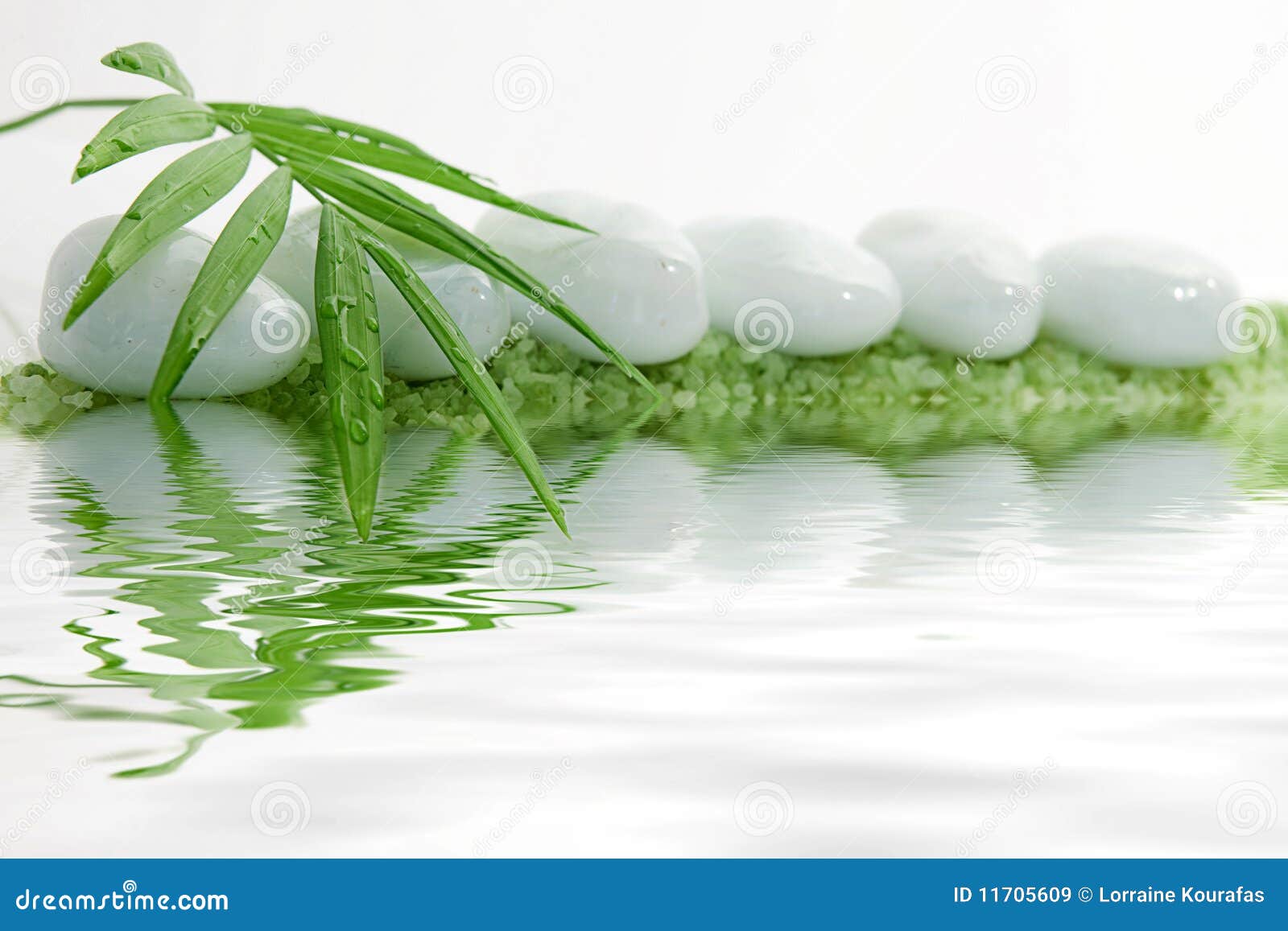 Tranquil Stone with Bamboo Leaf Stock Image - Image of leaf, life: 11705609