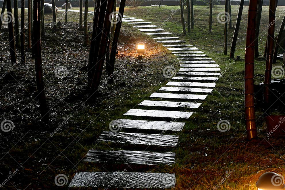 Tranquil Stone Road in Garden Stock Photo - Image of lamp, night: 1731324
