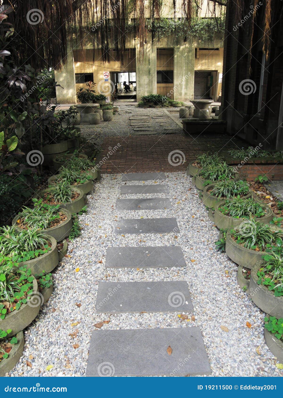 Tranquil Straight Garden Path Stock Photo - Image of health, forest ...