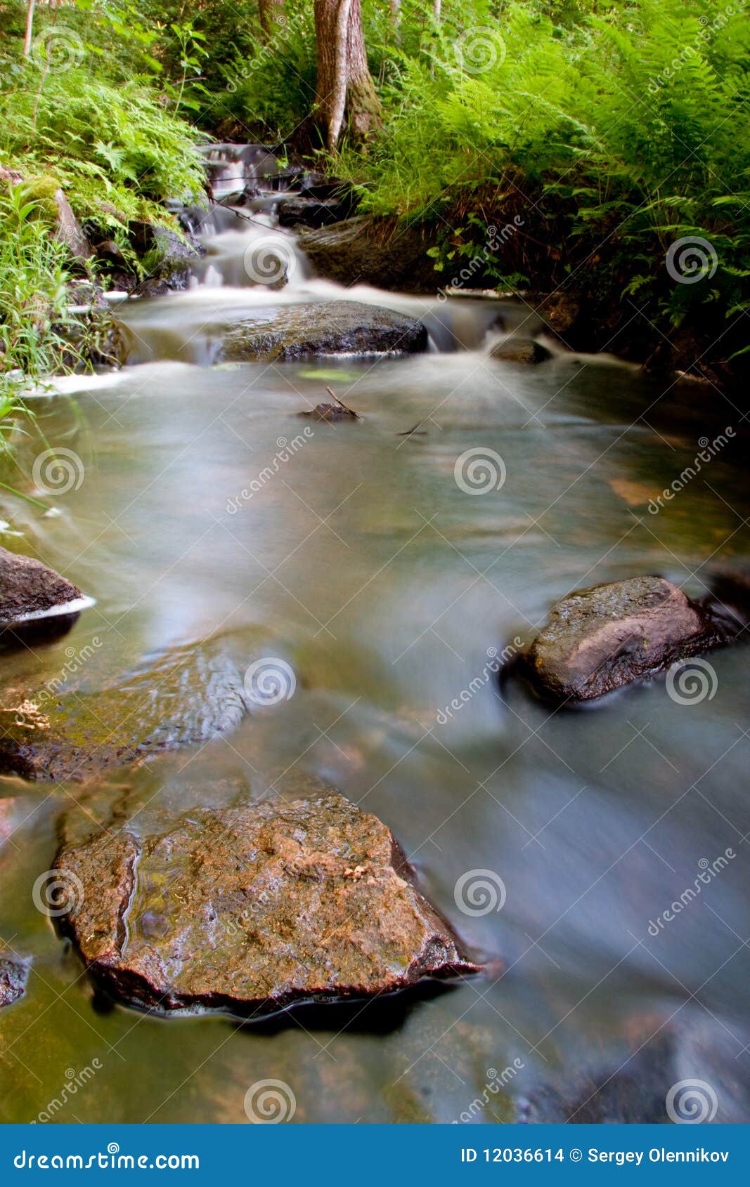 Tranquil stream stock photo. Image of background, landscape - 12036614