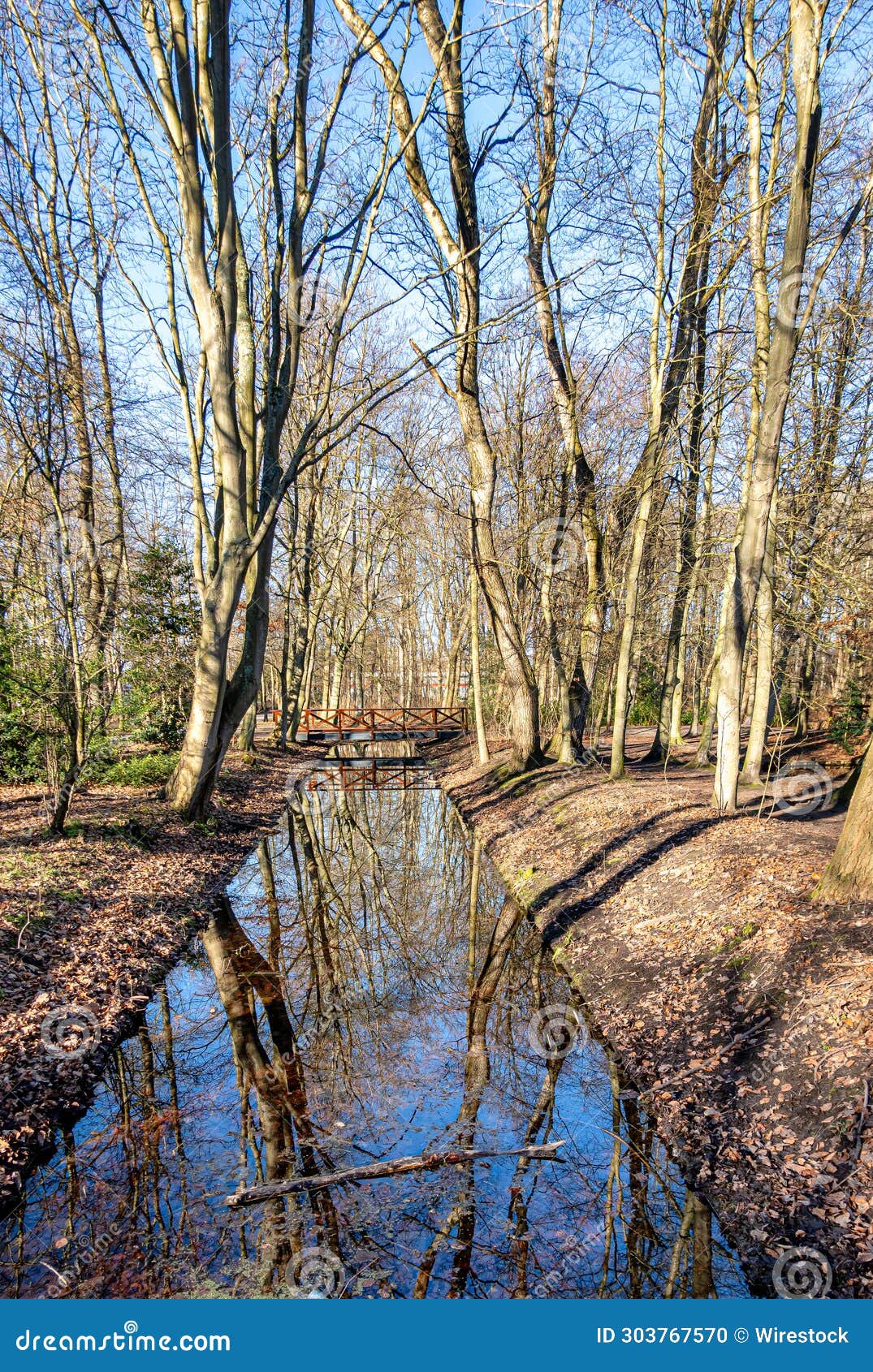 A Stream that Flows Under Some Tree Covered Trees in the Middle of the ...