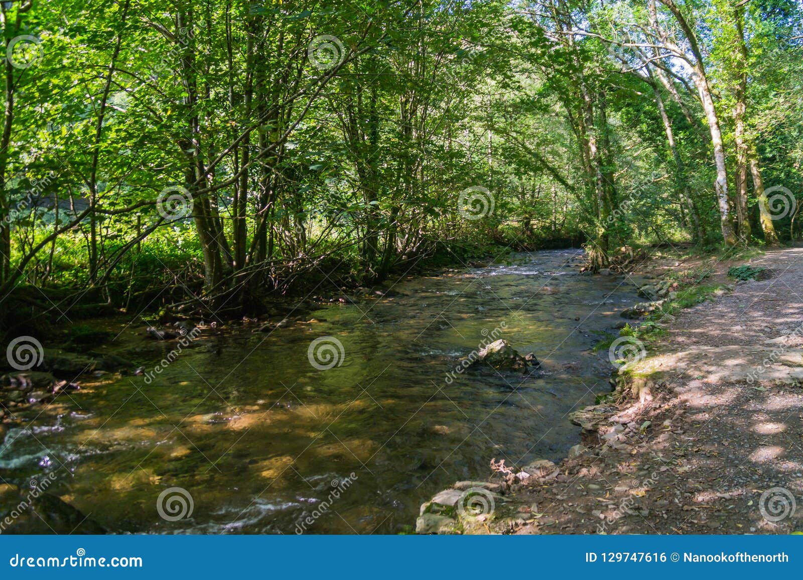 A Tranquil Stretch of the River Heddon in North Devon Stock Photo ...