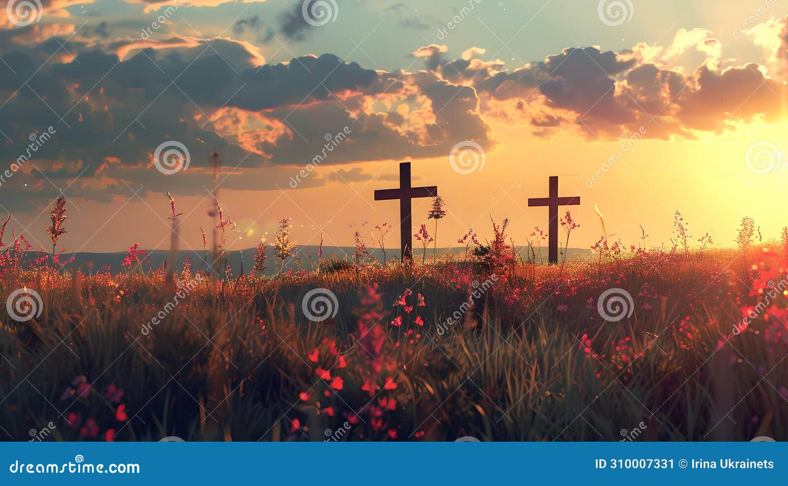 Tranquil Sunset at a Field with Crosses Representing Memory and Peace ...