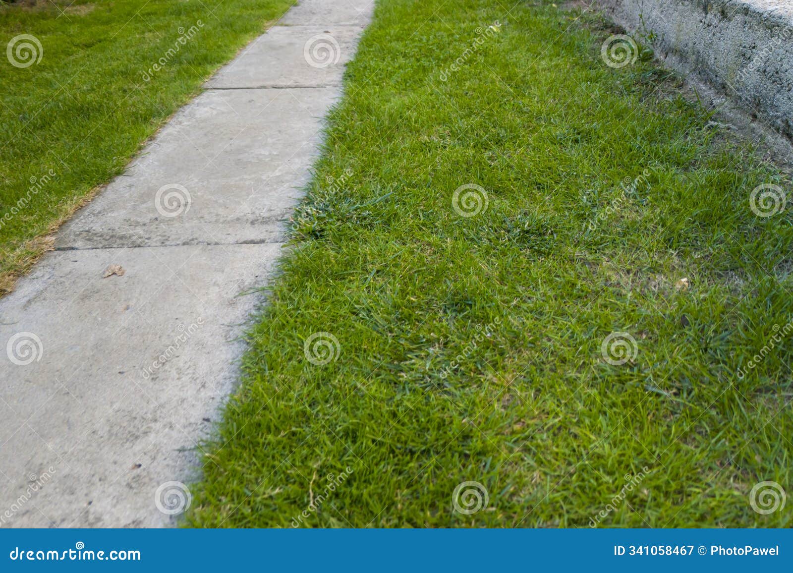 A Tranquil View of a Pathway Bordered by Lush Green Grass, Inviting a ...