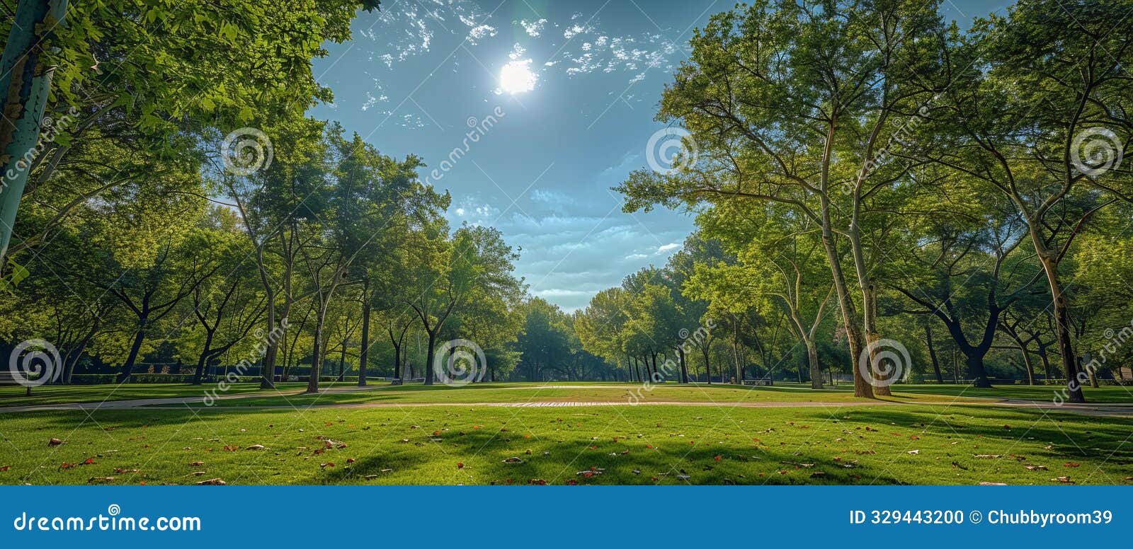 Tranquil View of Trees and Walk Paths in Public Park from a Low Angle ...