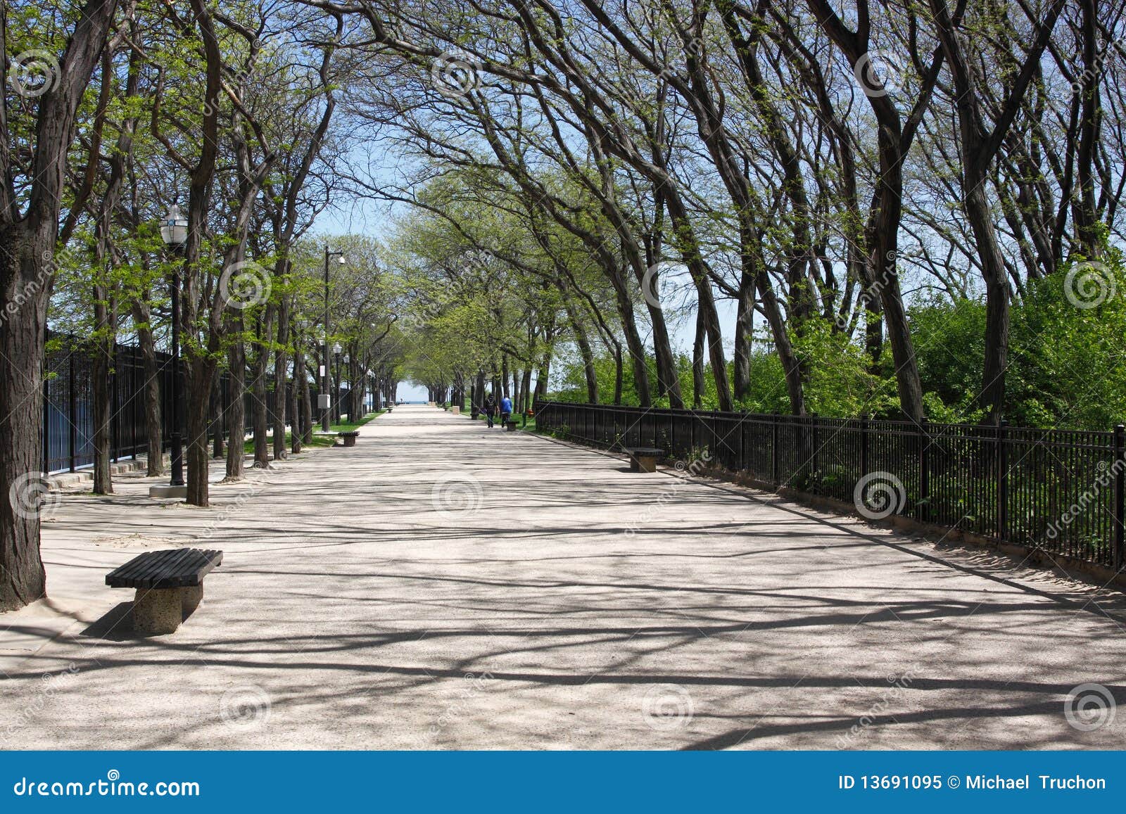 Tranquil walkway stock image. Image of bush, plant, bench - 13691095