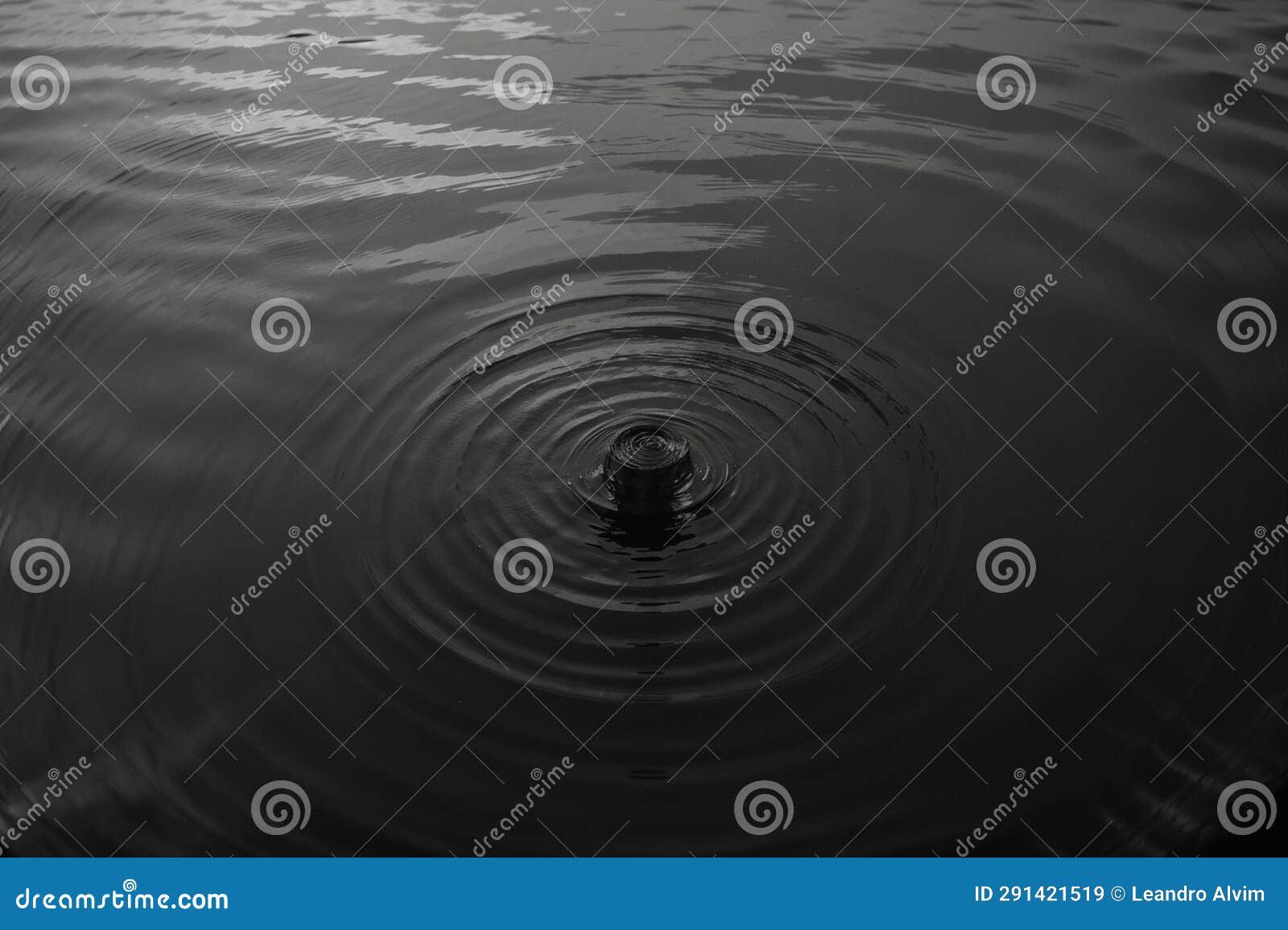 Tranquil Water Ripples a Monochromatic Symphony.AI Generated Stock ...