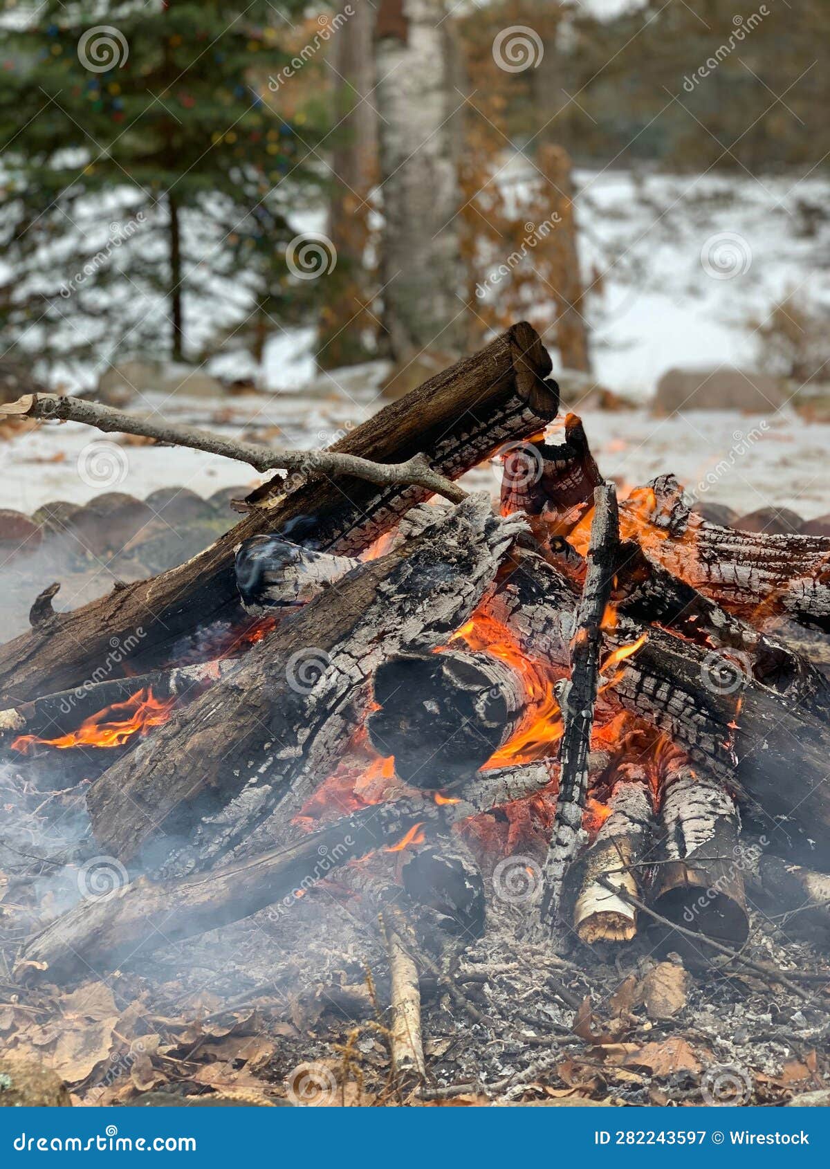 Tranquil Winter Scene of a Campfire Burning in a Snowy Forest Stock ...
