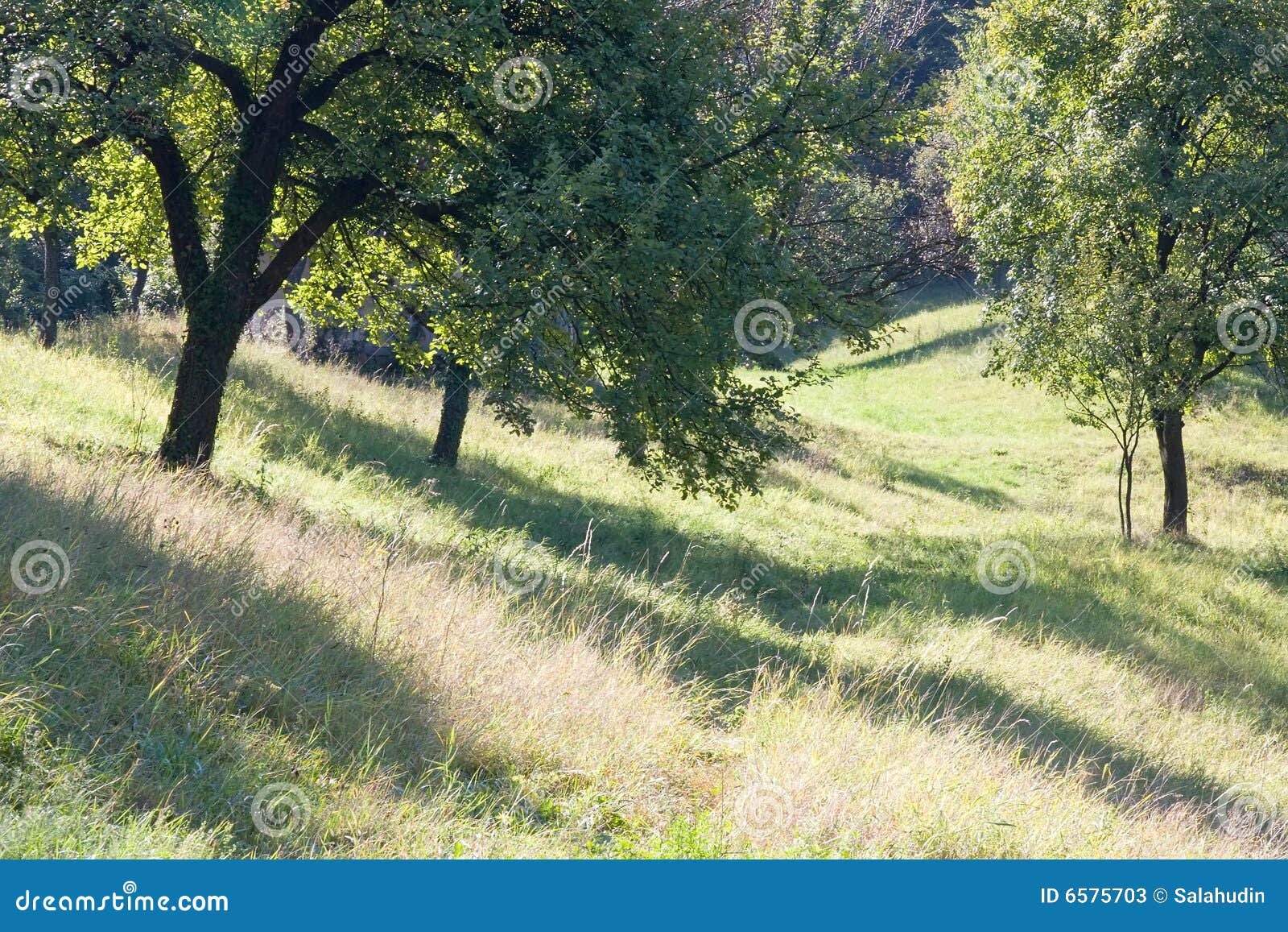 Tranquility stock image. Image of rural, scenery, tranquility - 6575703