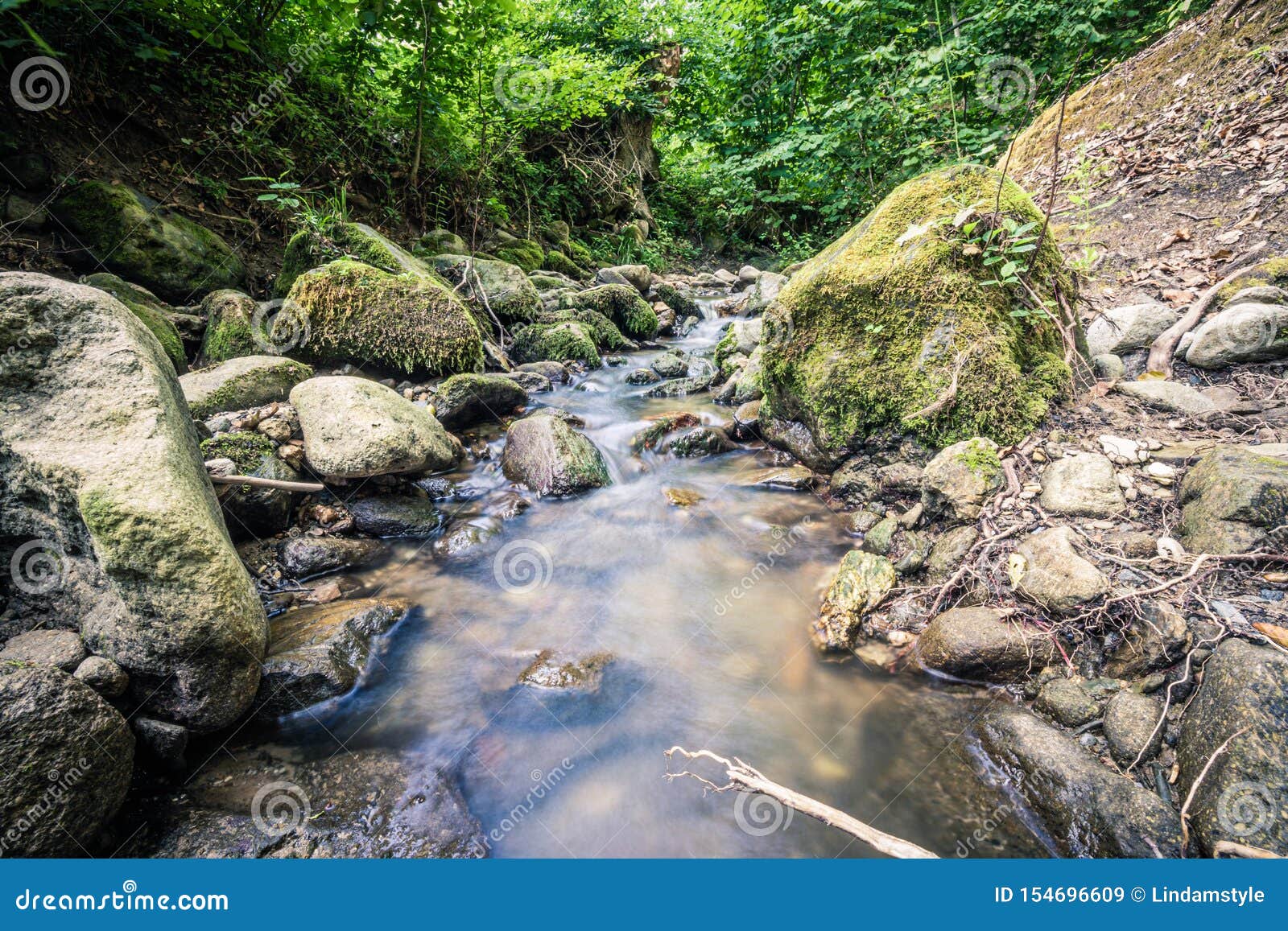Tranquility River Water in the Mountain Forest Stock Image - Image of ...
