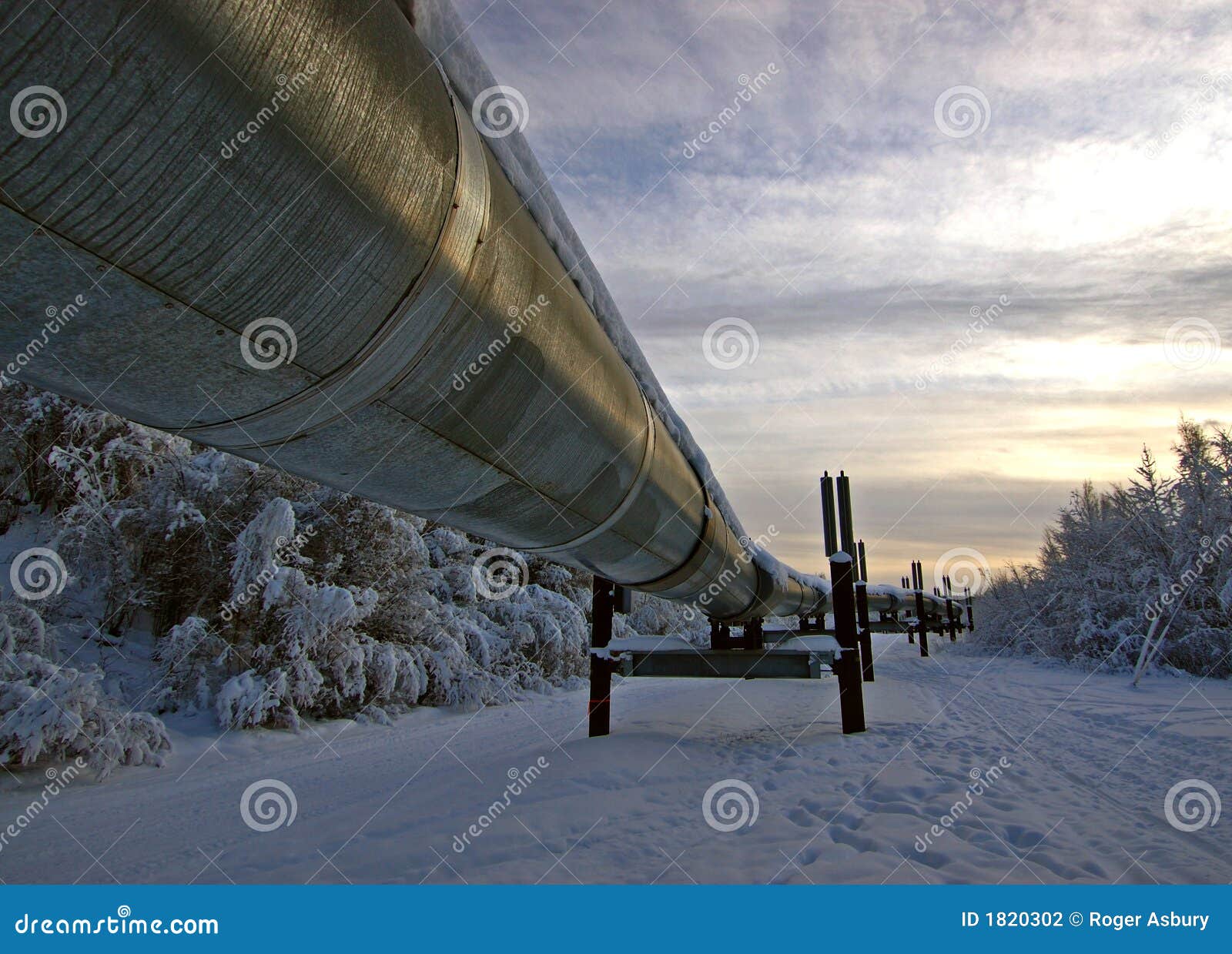 Trans-Alaska oil pipeline stock photo. Image of winter - 1820302