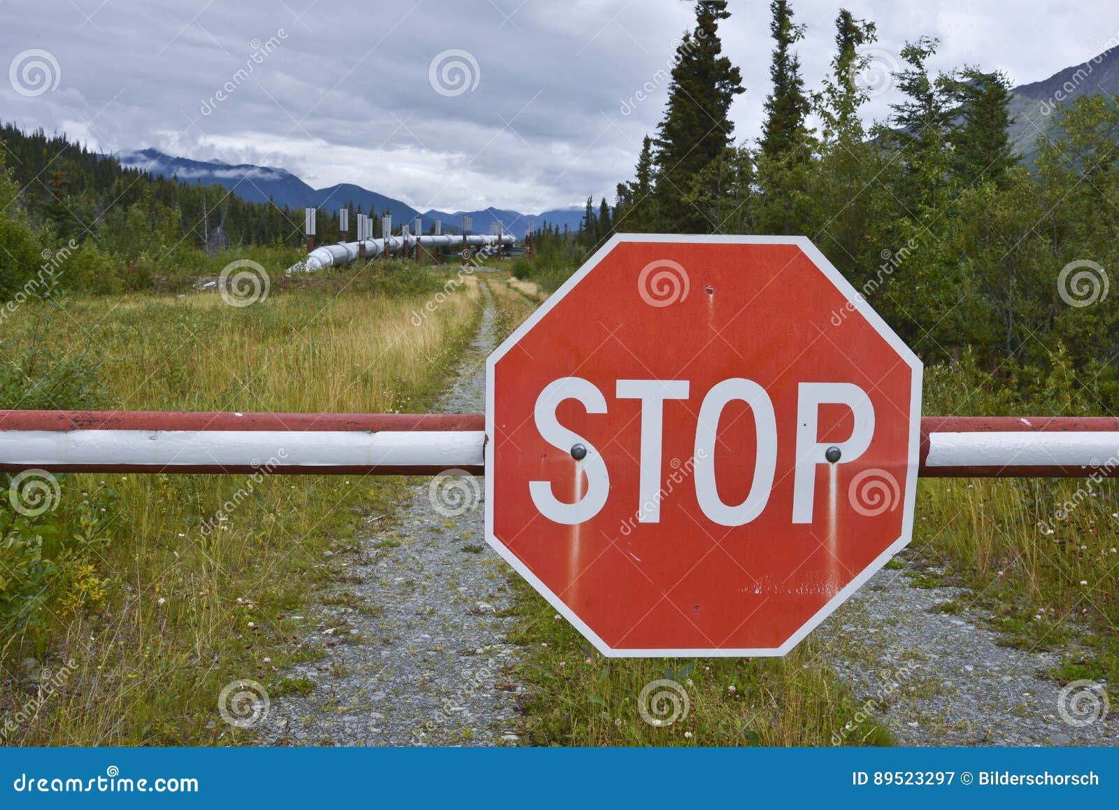 Trans-alaska oil pipeline stock image. Image of crude - 89523297