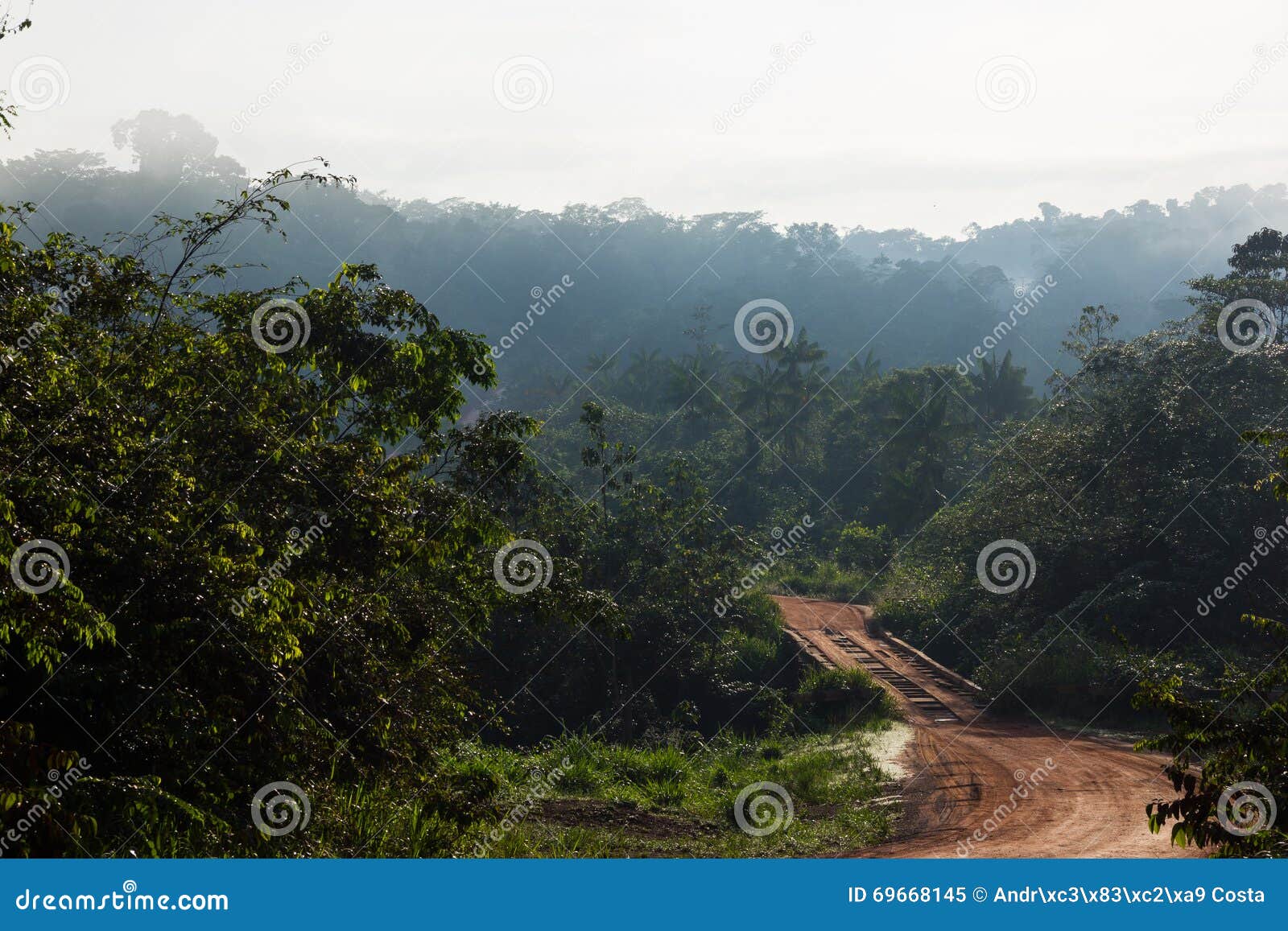 Trans-Amazonian Highway in Brazil Stock Image - Image of greenery ...