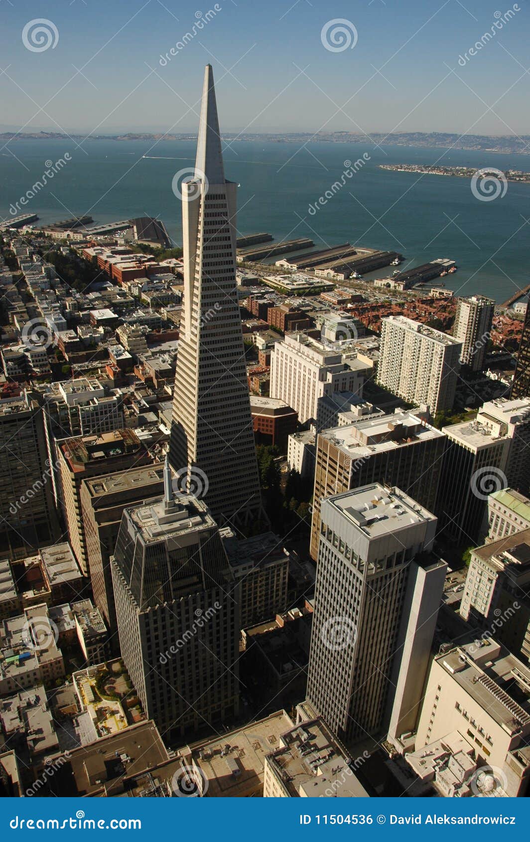 Trans America building stock photo. Image of skyscraper - 11504536