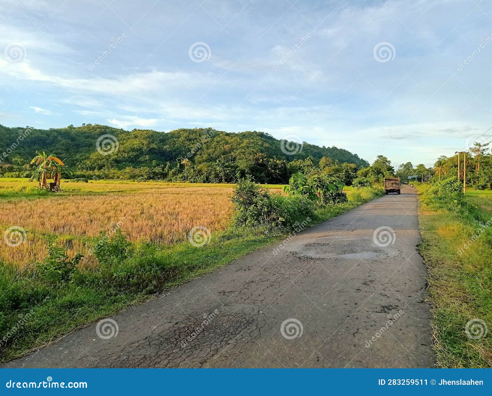 The Trans Road in Bualemo Sub-district, Banggai District Stock Image ...