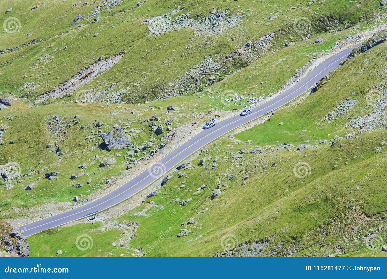 Transalpina Mountain Highway Stock Image - Image of destination, tree ...