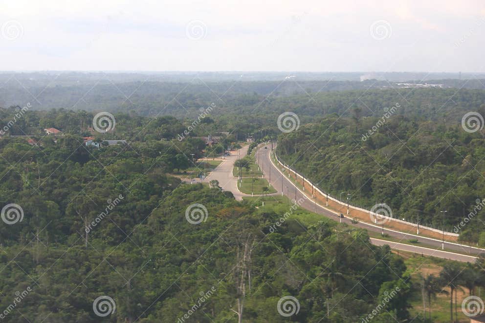 Transamazonic highway stock photo. Image of amazonic, development - 1135096