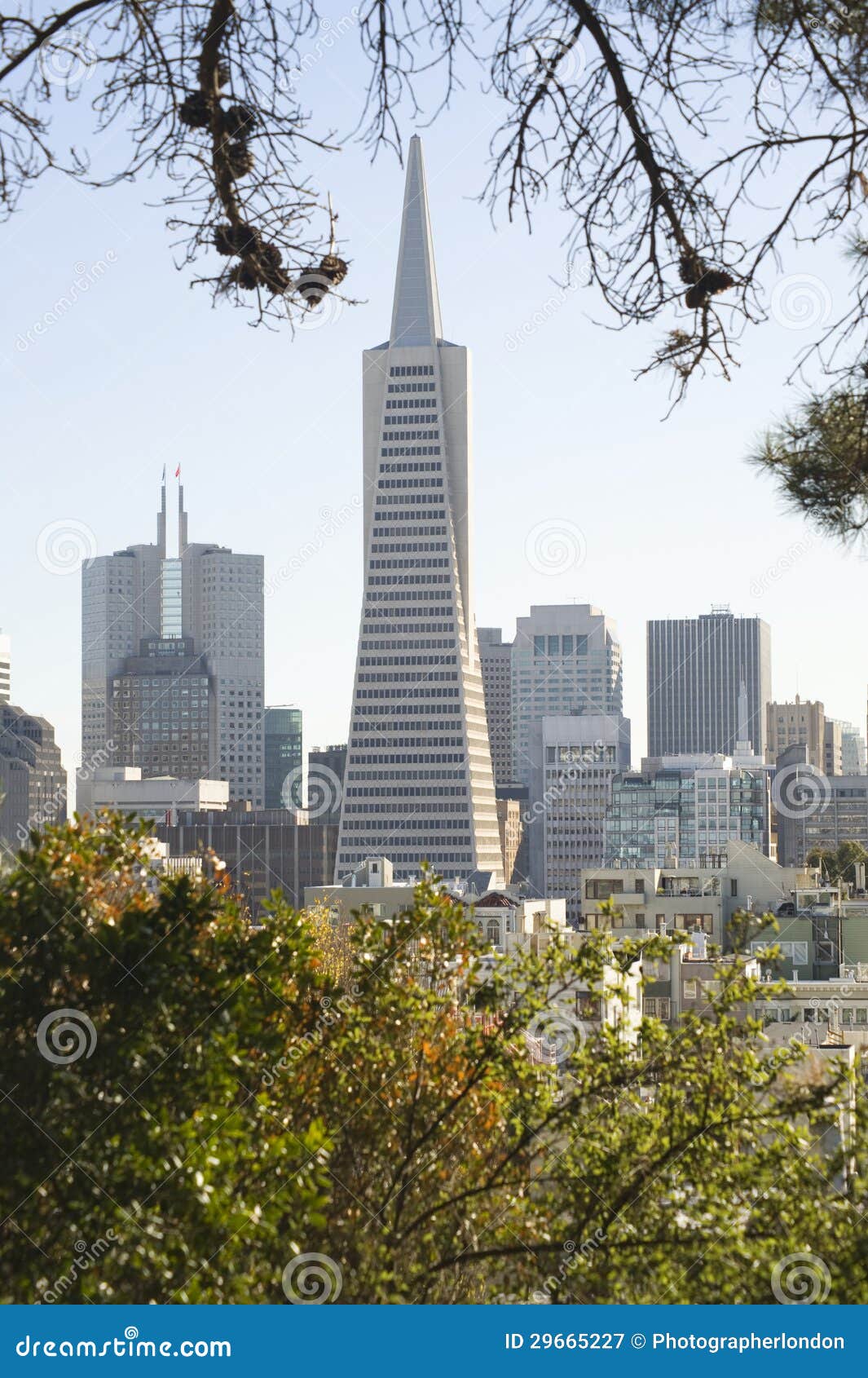 Transamerica Pyramid, San Francisco Editorial Photo | CartoonDealer.com ...