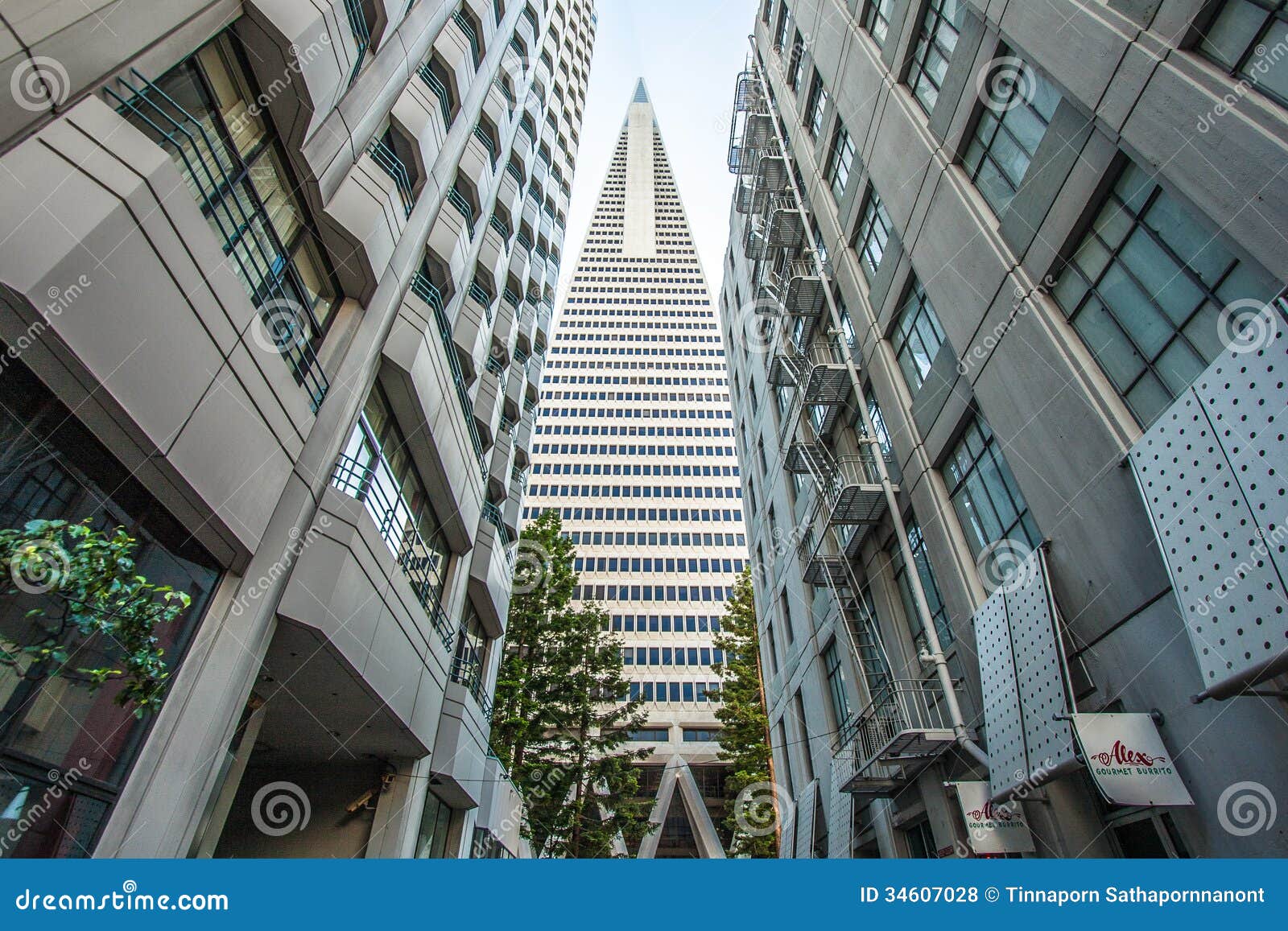 Transamerica Pyramid editorial stock photo. Image of pyramid - 34607028