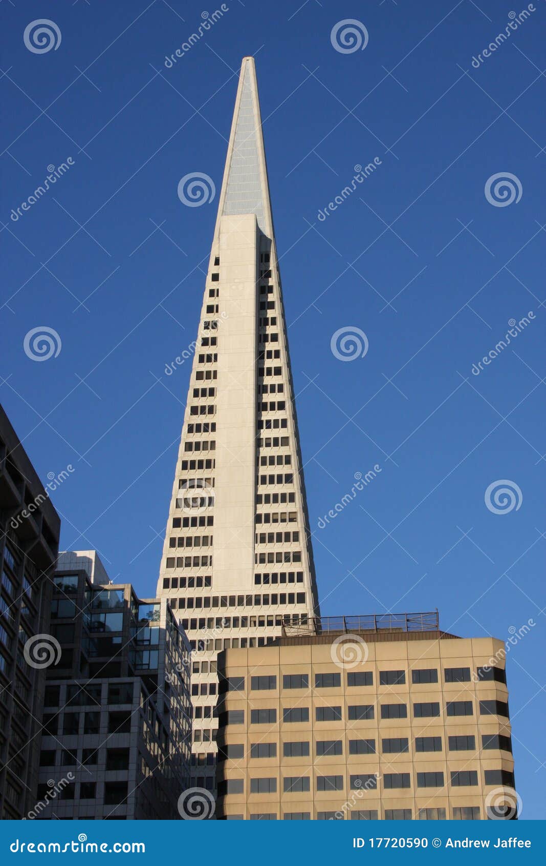 Transamerica Tower San Francisco Stock Photo - Image of angles ...