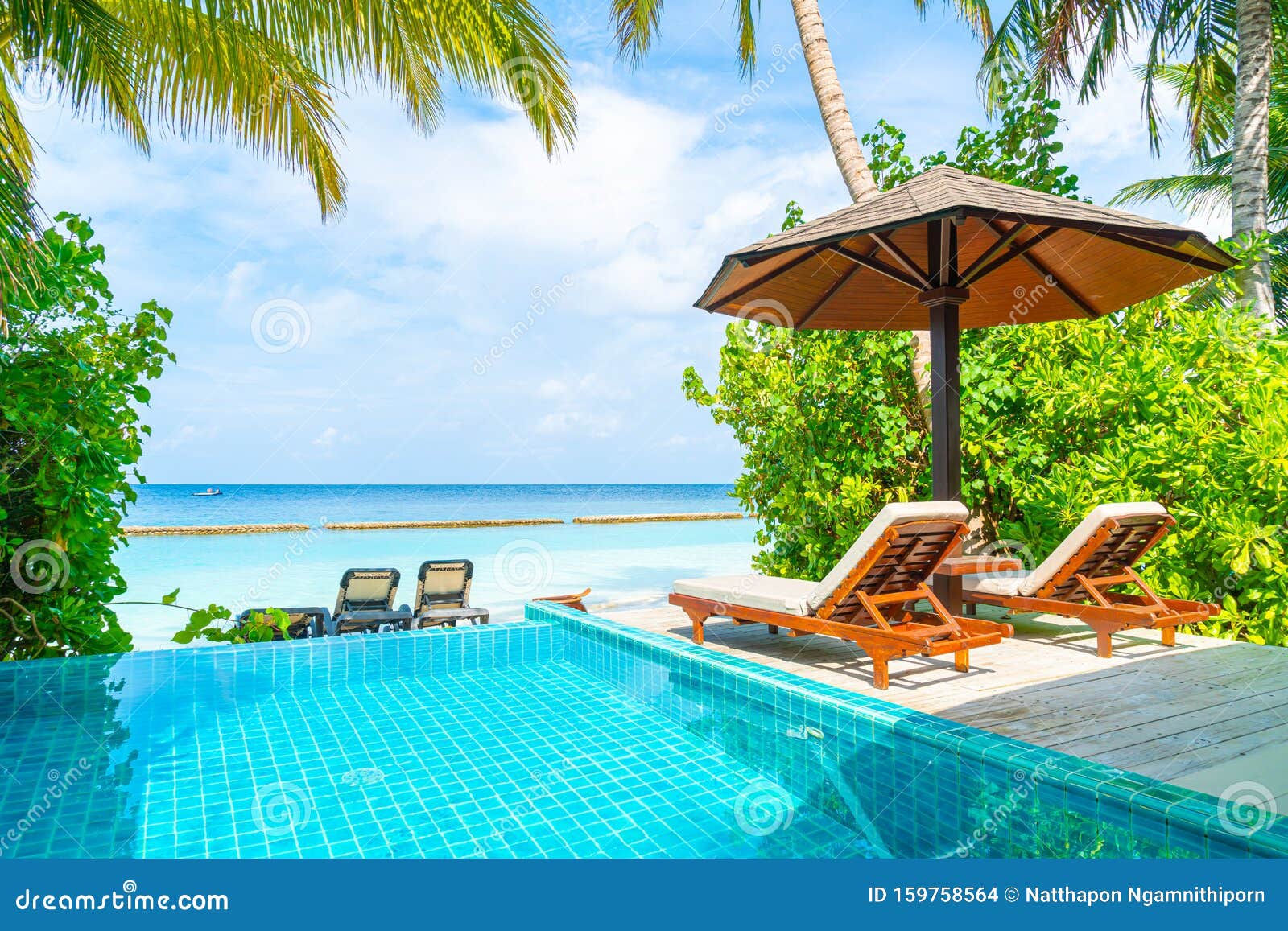 Transat Avec Piscine Et Fond Marin Aux Maldives Photo stock - Image du ...