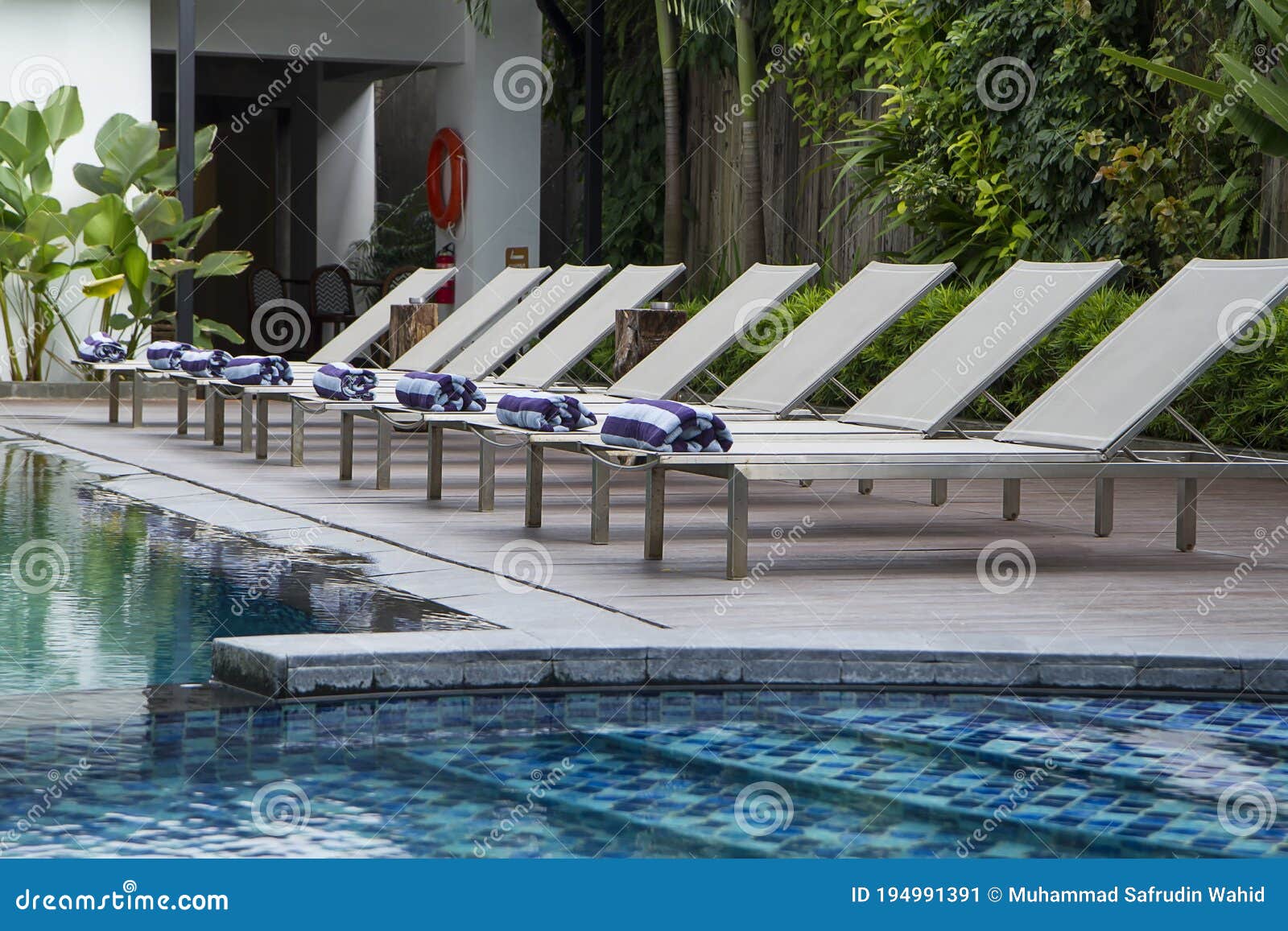 Transat Et Piscine Avec Jardin Vertical Vert Photo éditorial - Image du ...