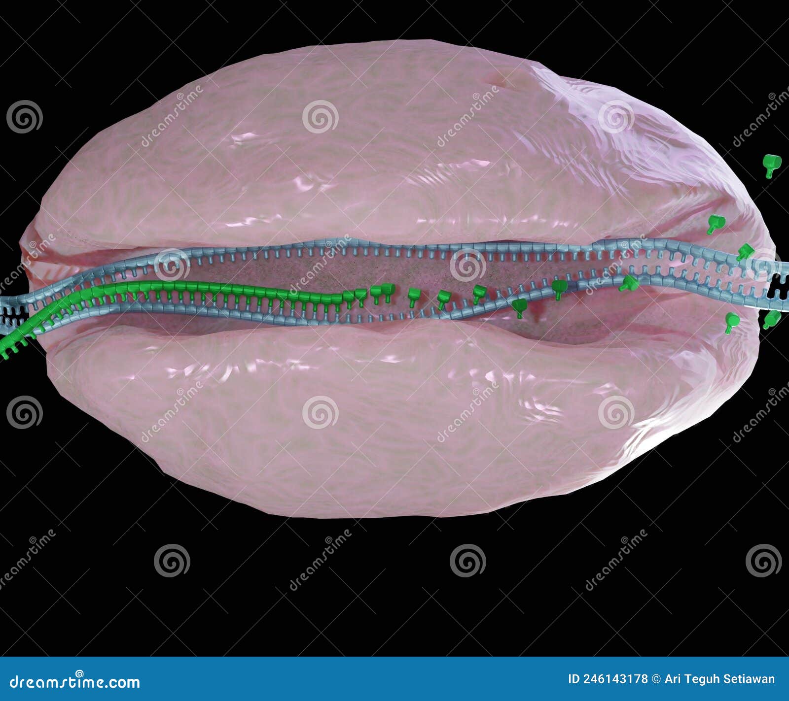Taq Polymerase Molecule Royalty-Free Stock Image | CartoonDealer.com ...