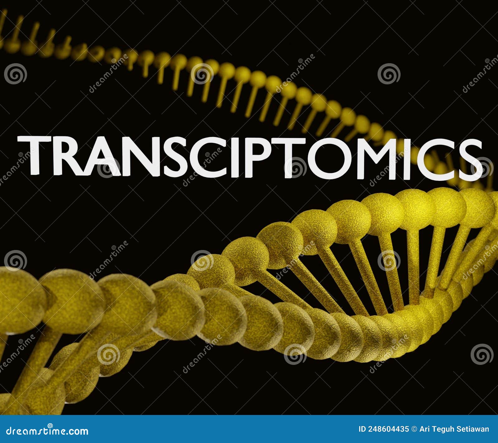 Transcriptomics with RNA and DNA in 3d Stock Illustration ...