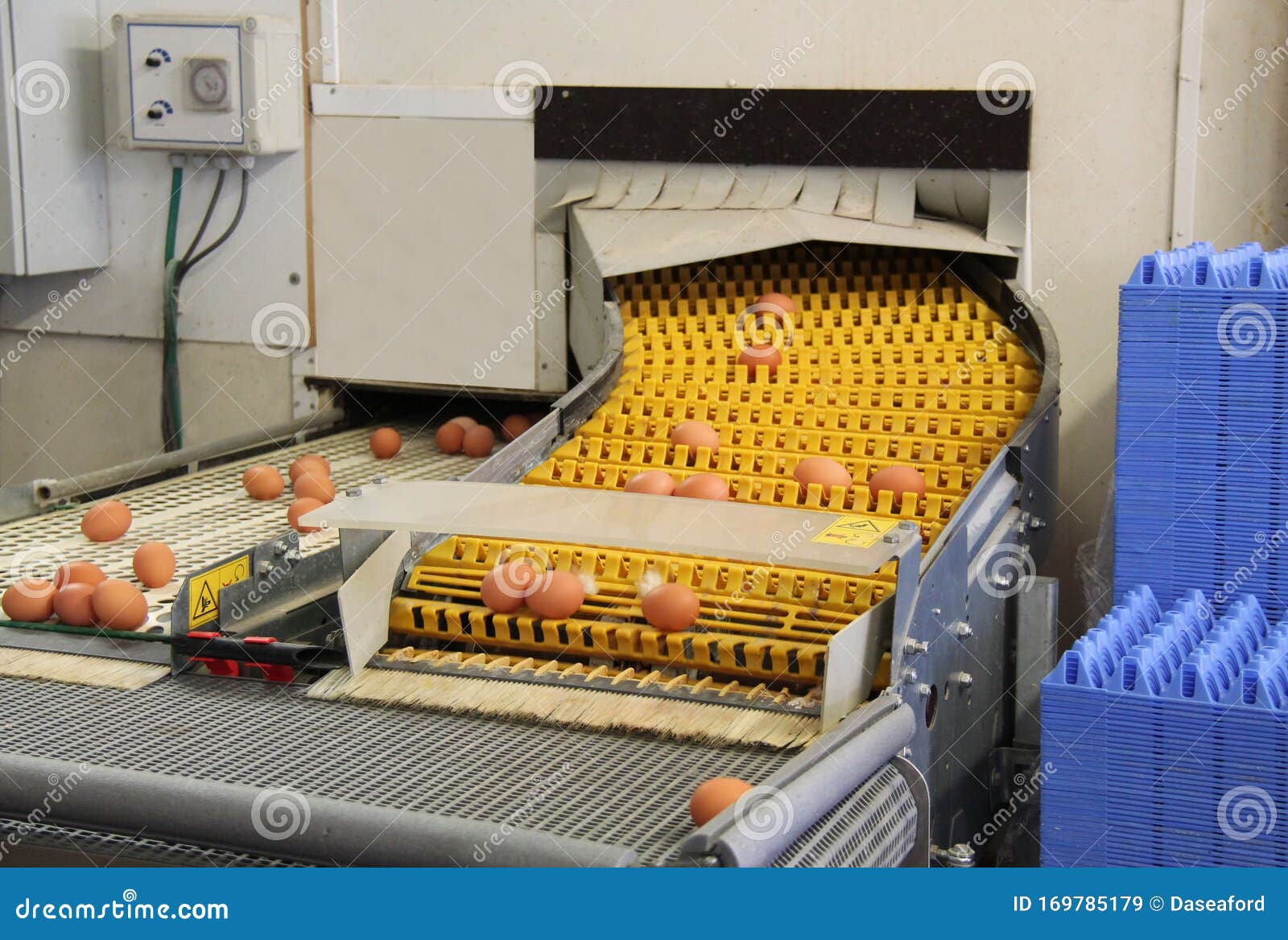 Egg Production. stock image. Image of industry, brown - 169785179