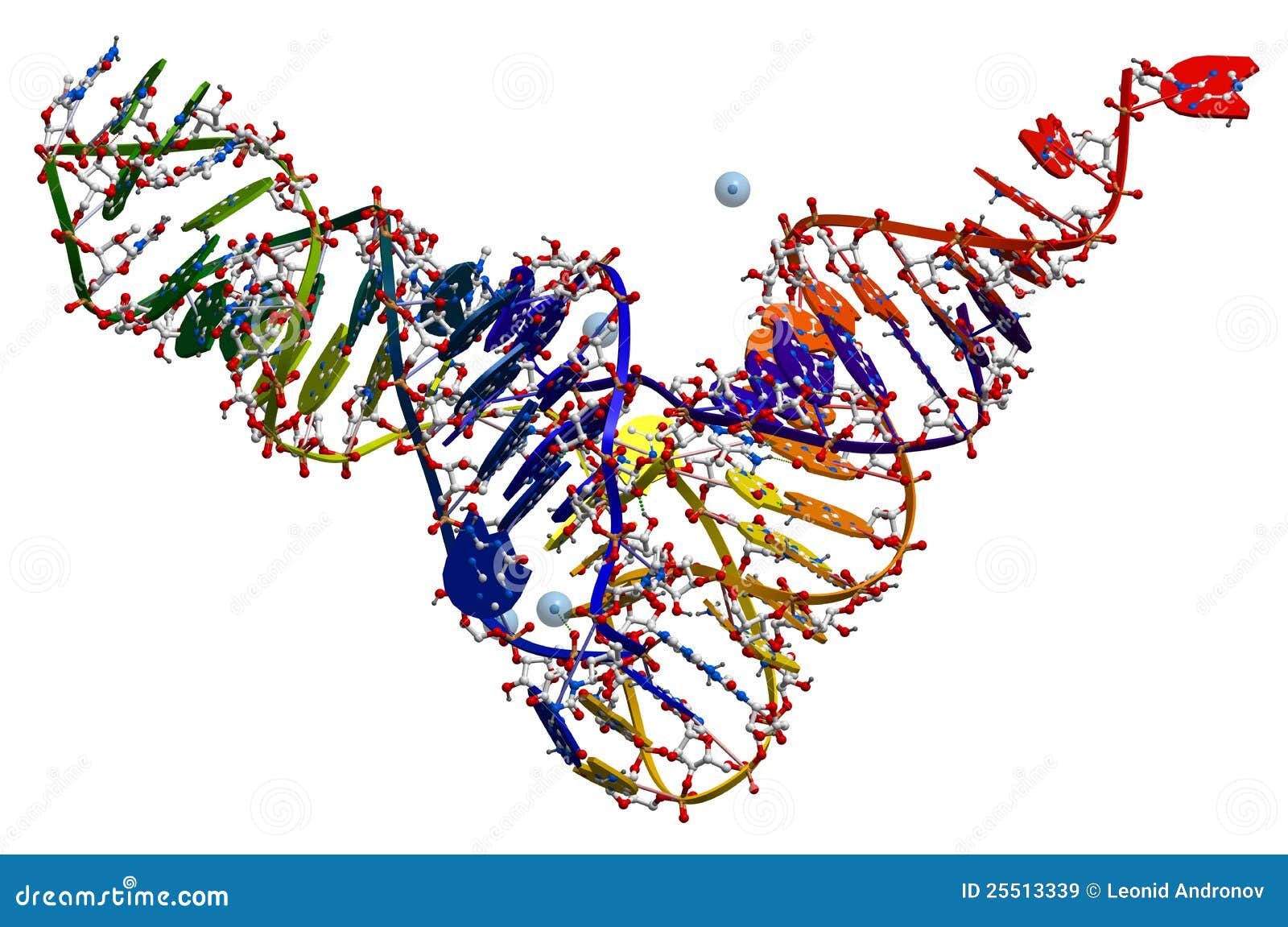 Ribonucleic Acid Molecule Spiral With RNA Nucleobases Molecular ...