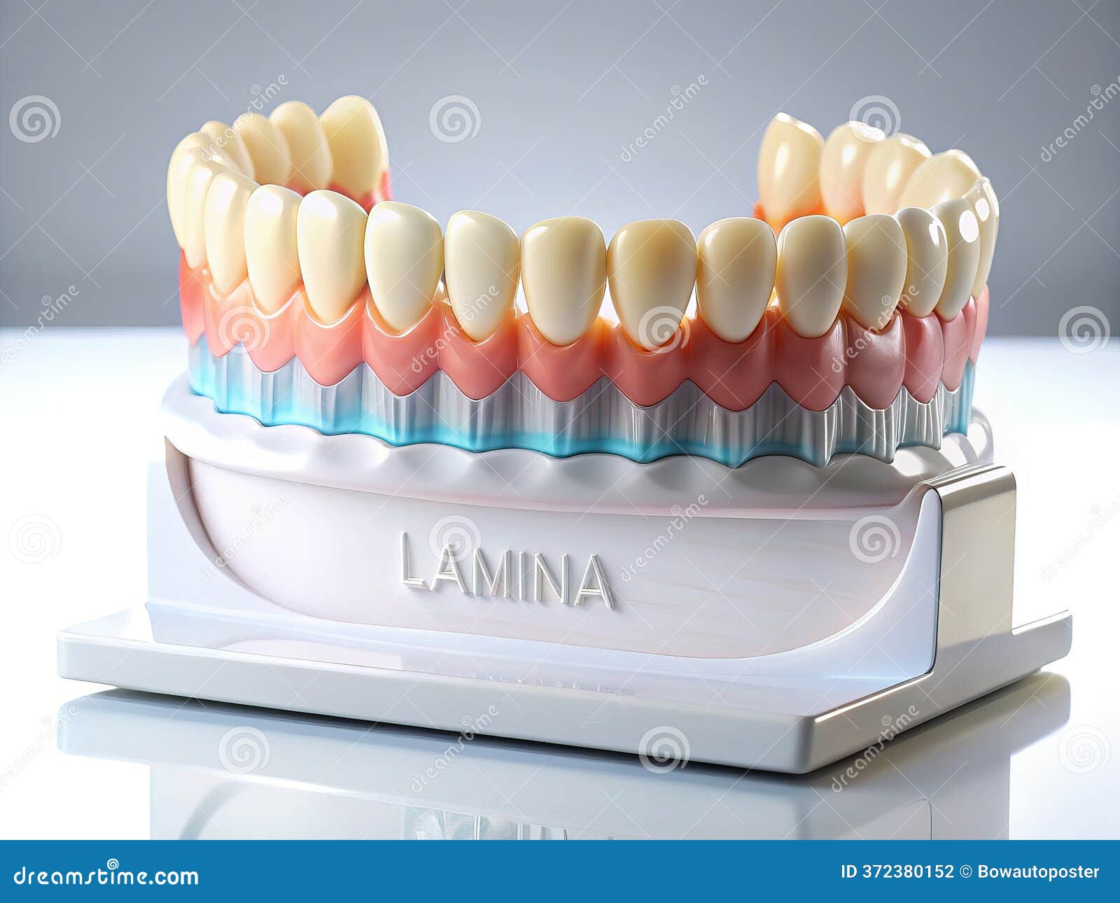 Dental Lamina - Dental Concept On Transparent Background, Flat Design ...