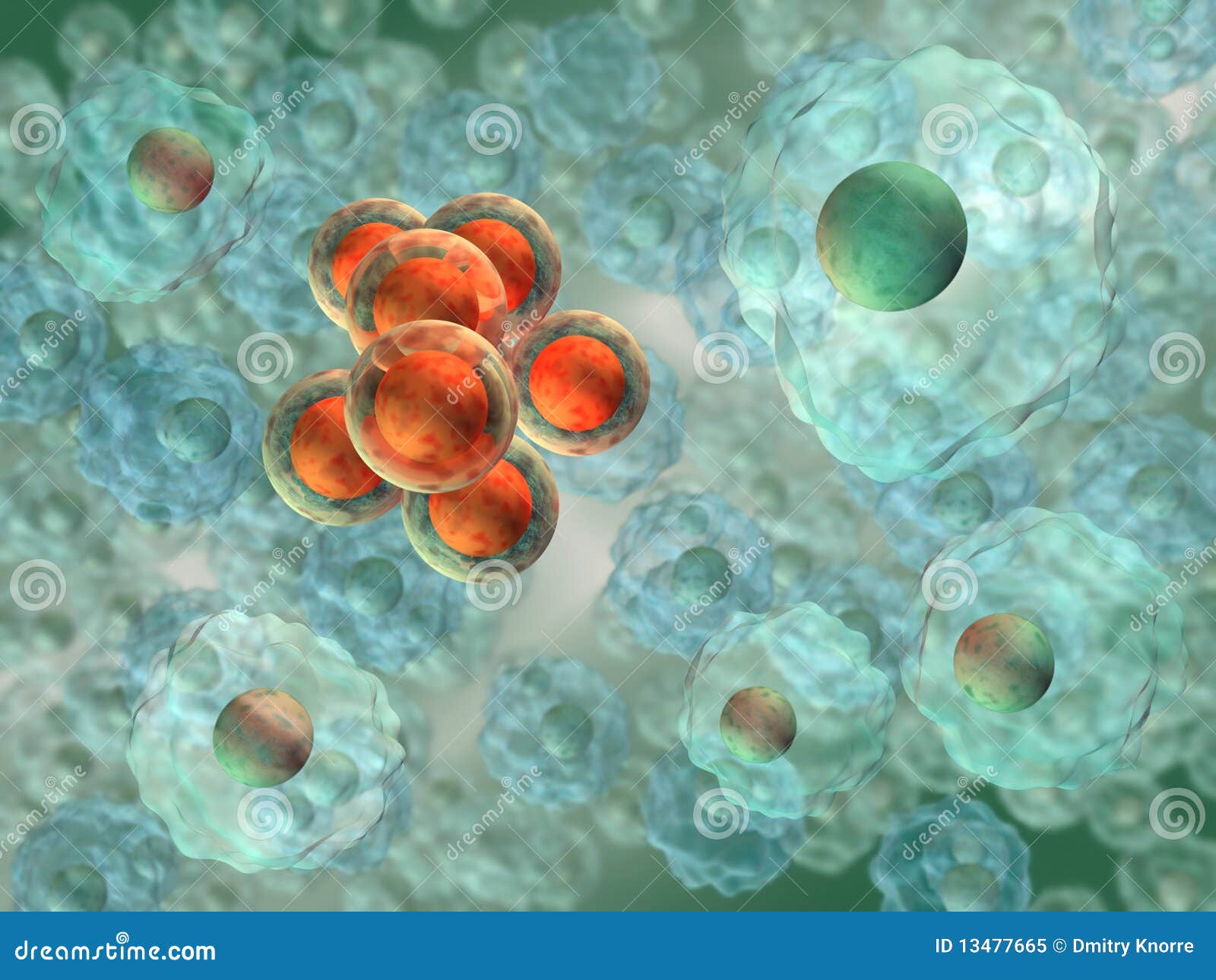 Transformed Eukaryotic Cells Stock Illustration - Illustration of high ...