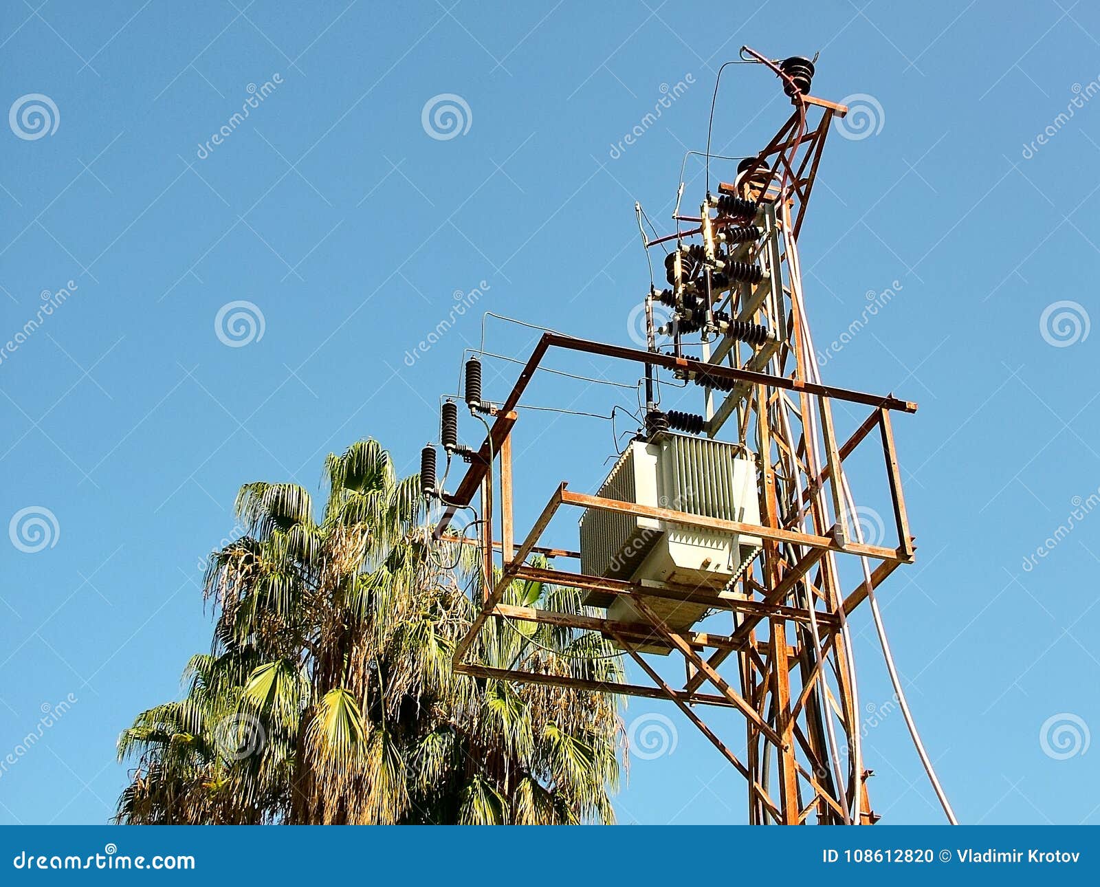 Transformer and palm tree stock photo. Image of dangerous - 108612820