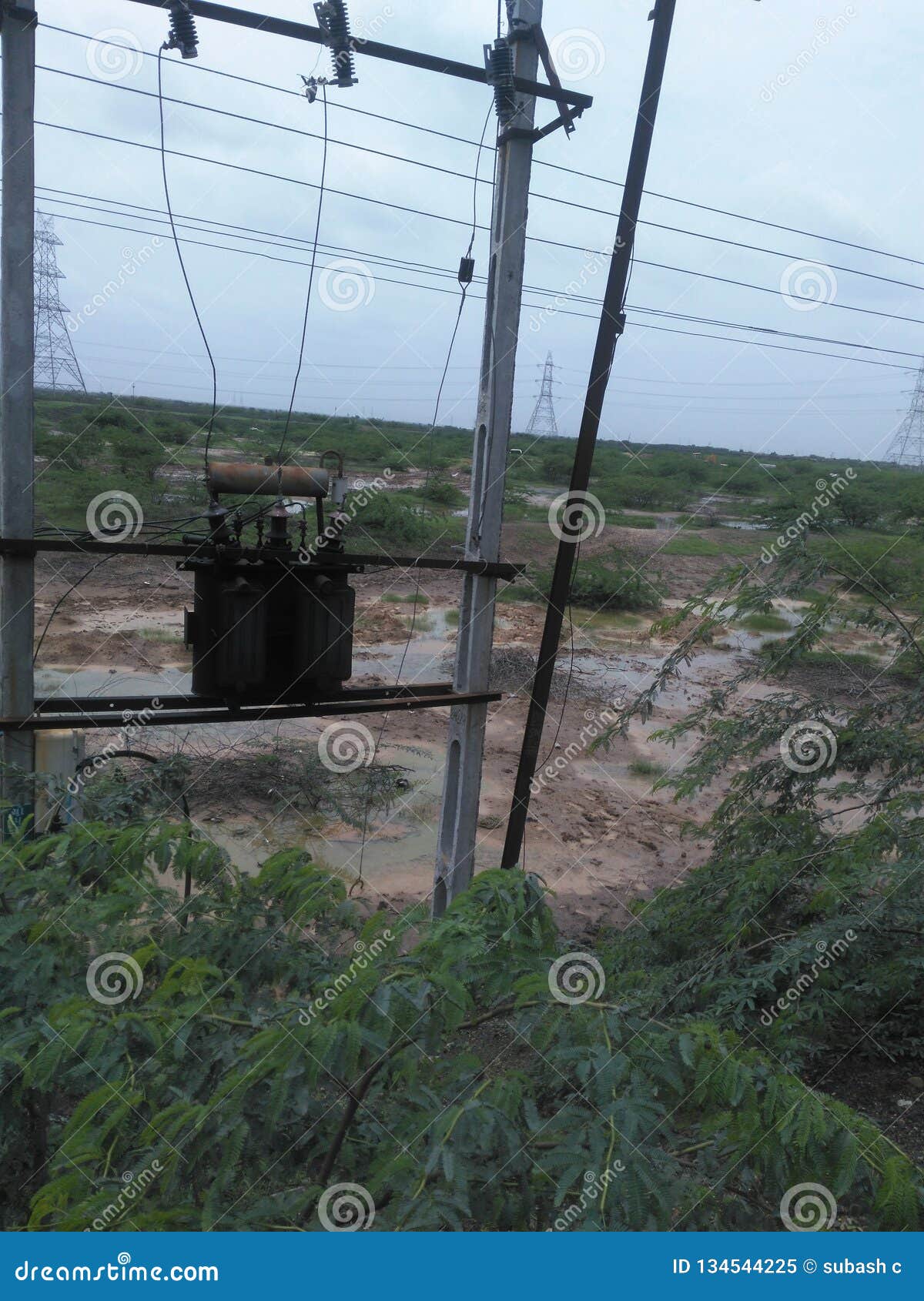 Transformer Sky Bush Distribution Transformer Insulators Stock Image ...