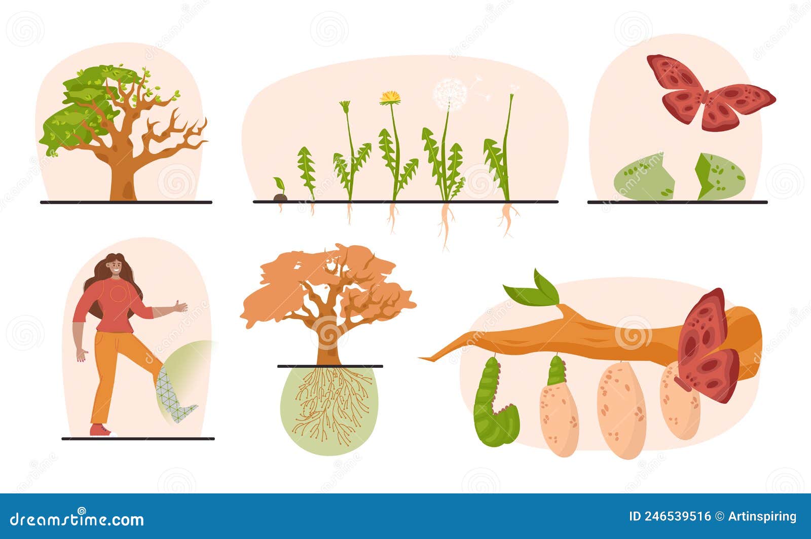 Transforming Concept. Transformation Metaphor, Changing And Evolution ...
