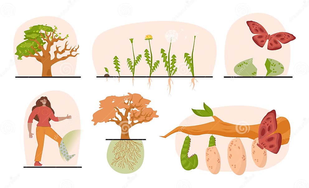 Transforming Concept Set. Transformation Metaphor, Changing and ...