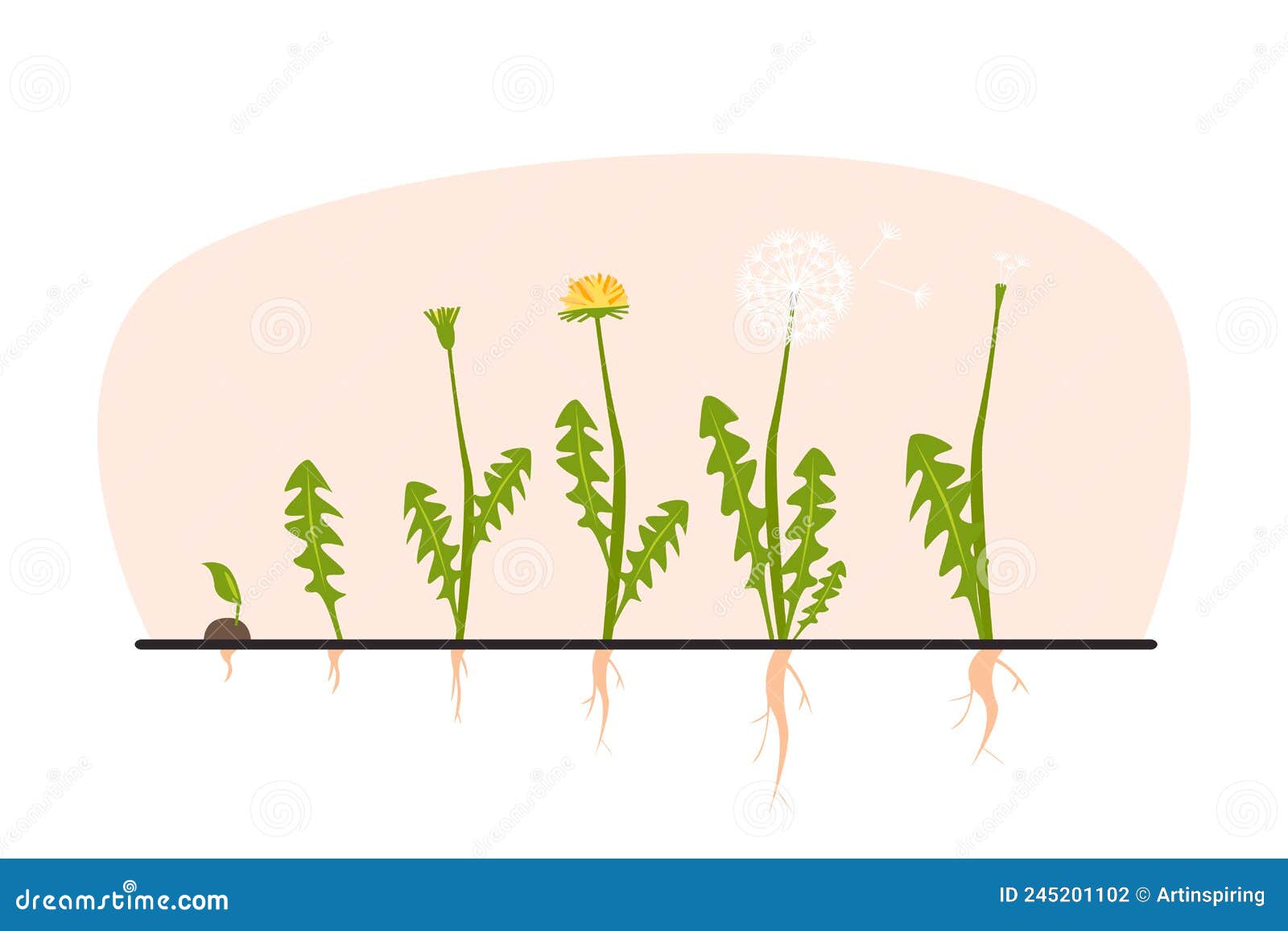 Transforming Concept. Transformation Metaphor, Changing And Evolution ...