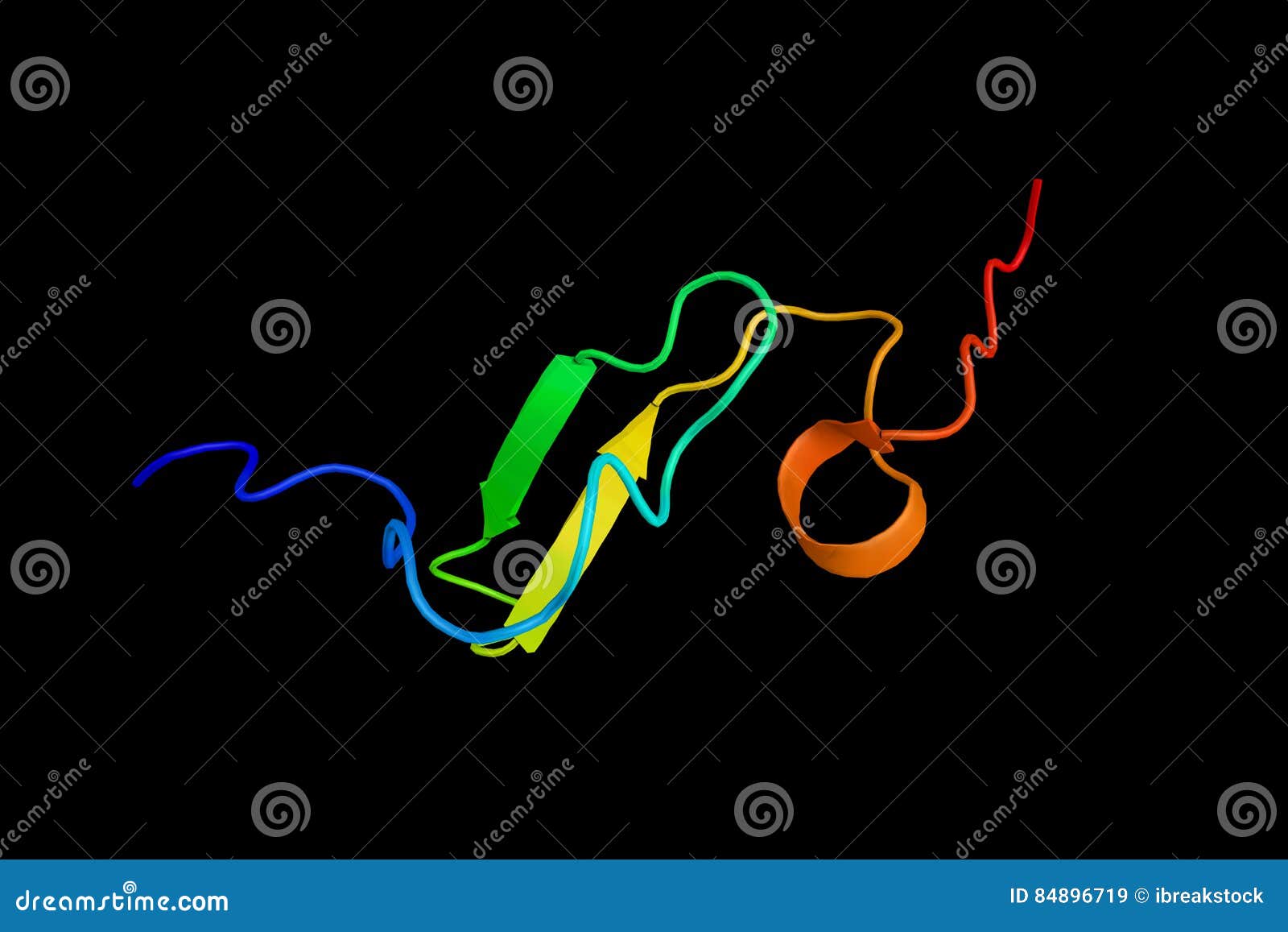 Transforming Growth Factor Alpha, a Protein Which Induces Epithelial ...