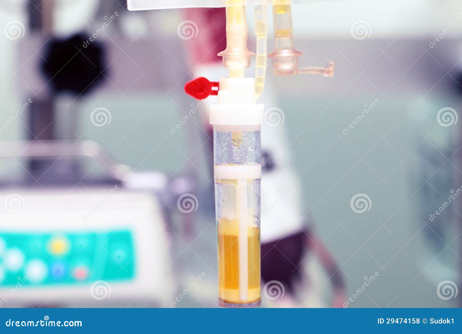 Transfusion De Plasma Humain Dans L'hôpital Photo stock - Image du ...