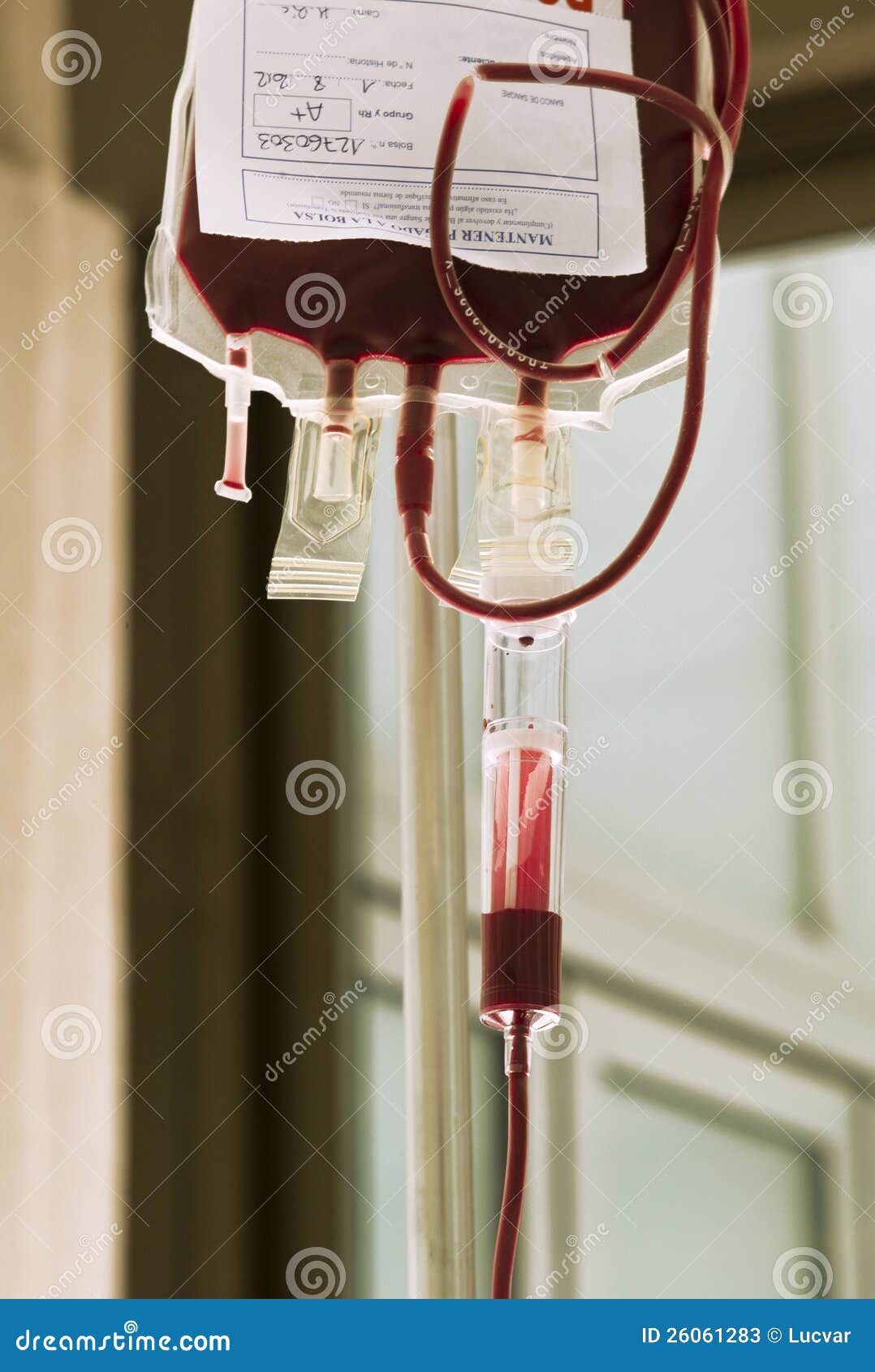 Transfusion sanguine image stock. Image du positif, donateur - 26061283