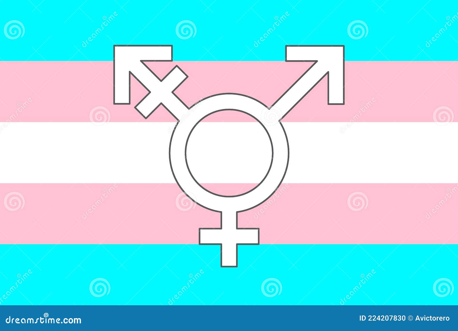 Transgender Flag with Icon Symbol Inside Stock Vector - Illustration of ...
